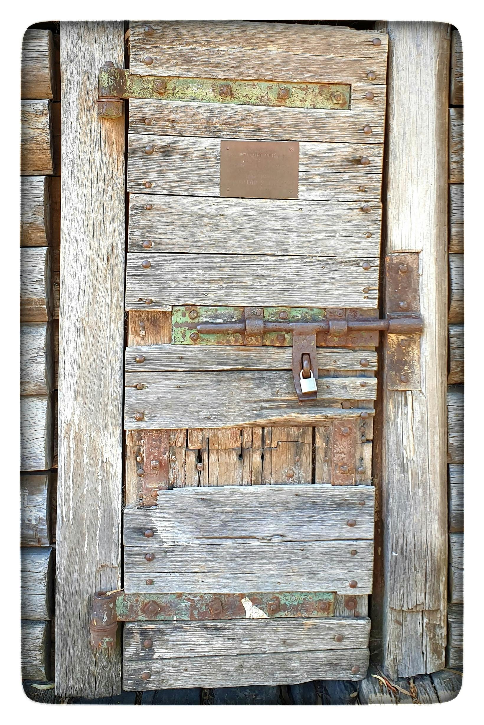 Daniel Watson - 摄影