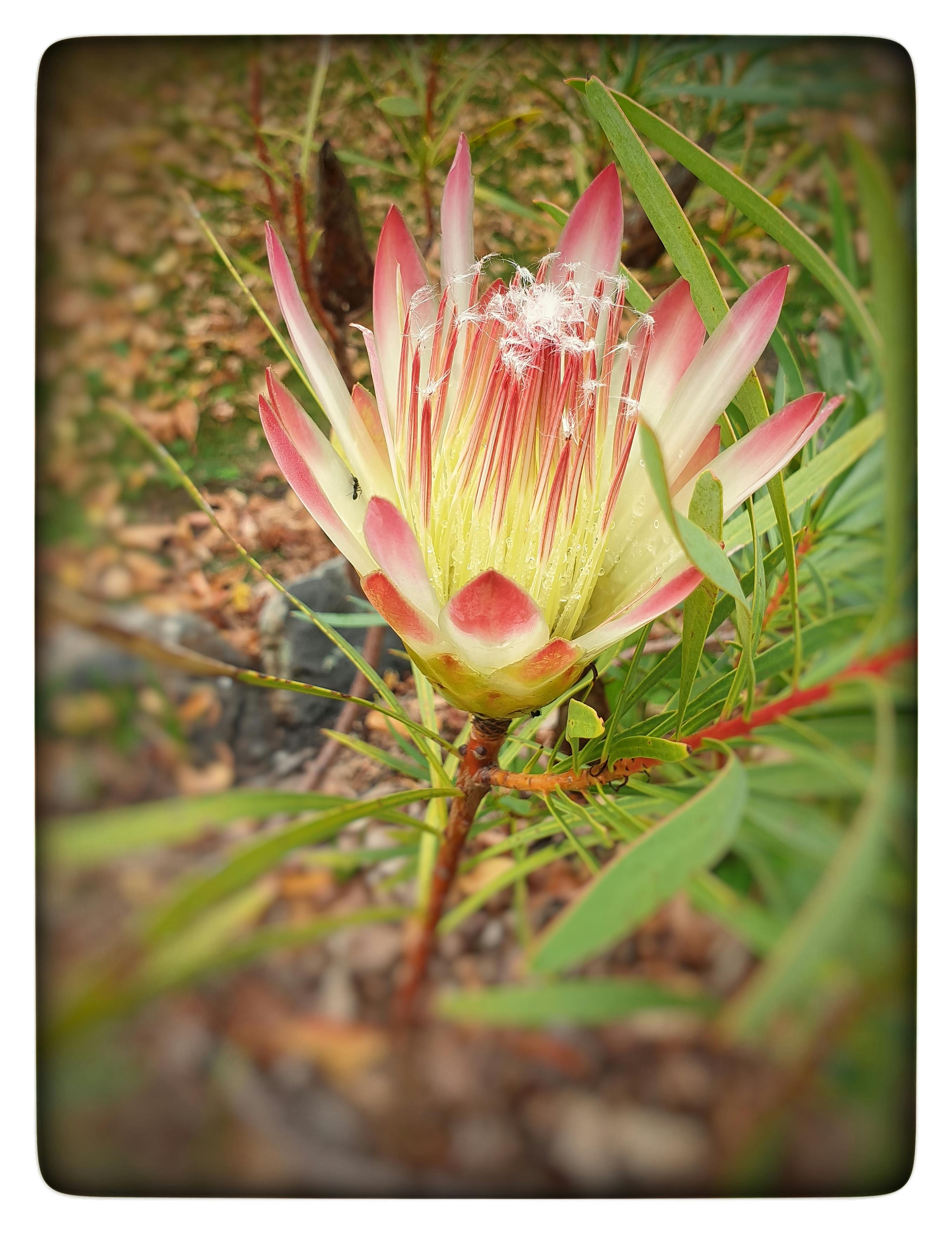 Daniel Watson - 摄影