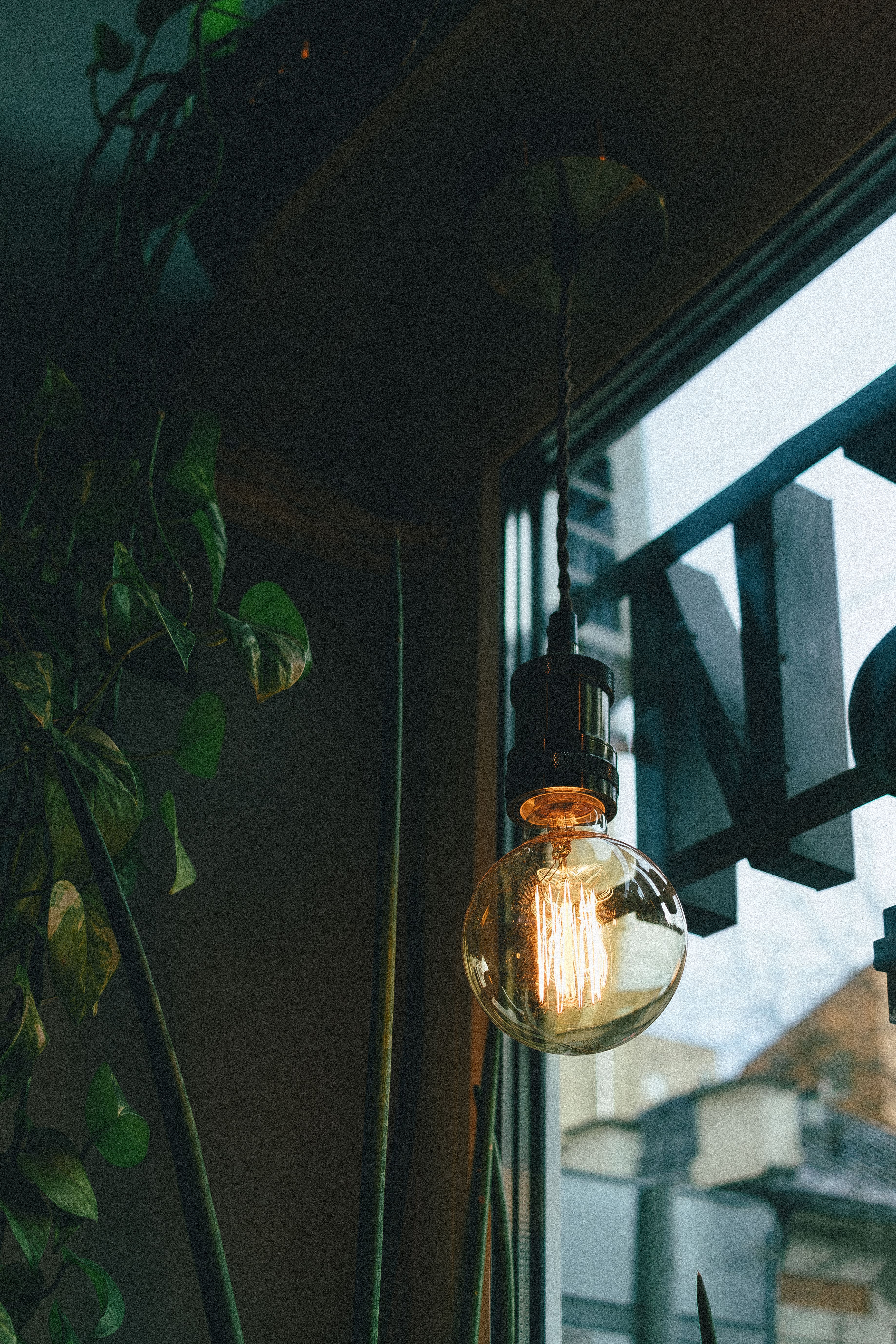 Light Bulb on Window · Free Stock Photo