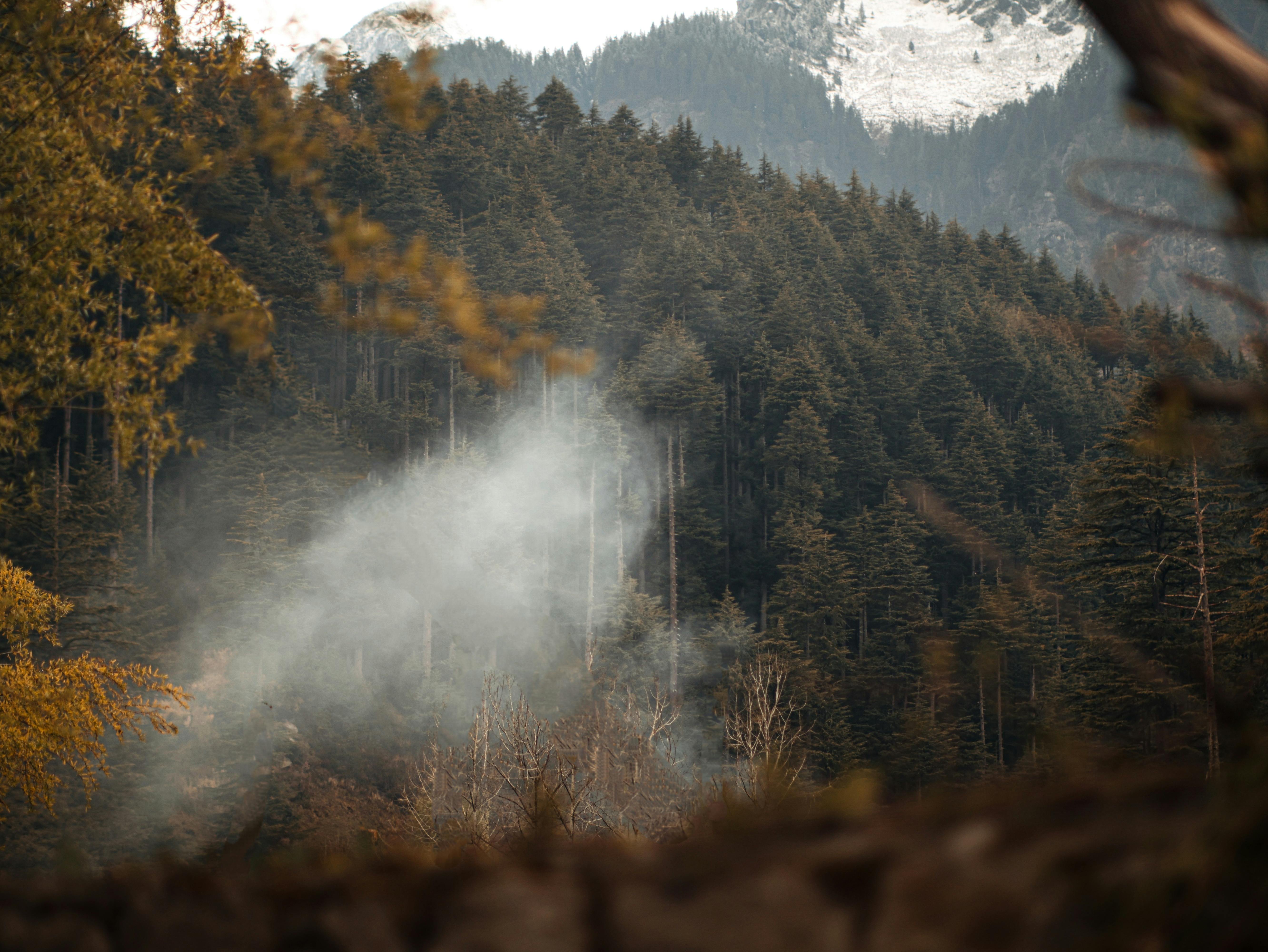 Maruti Soni - Photography