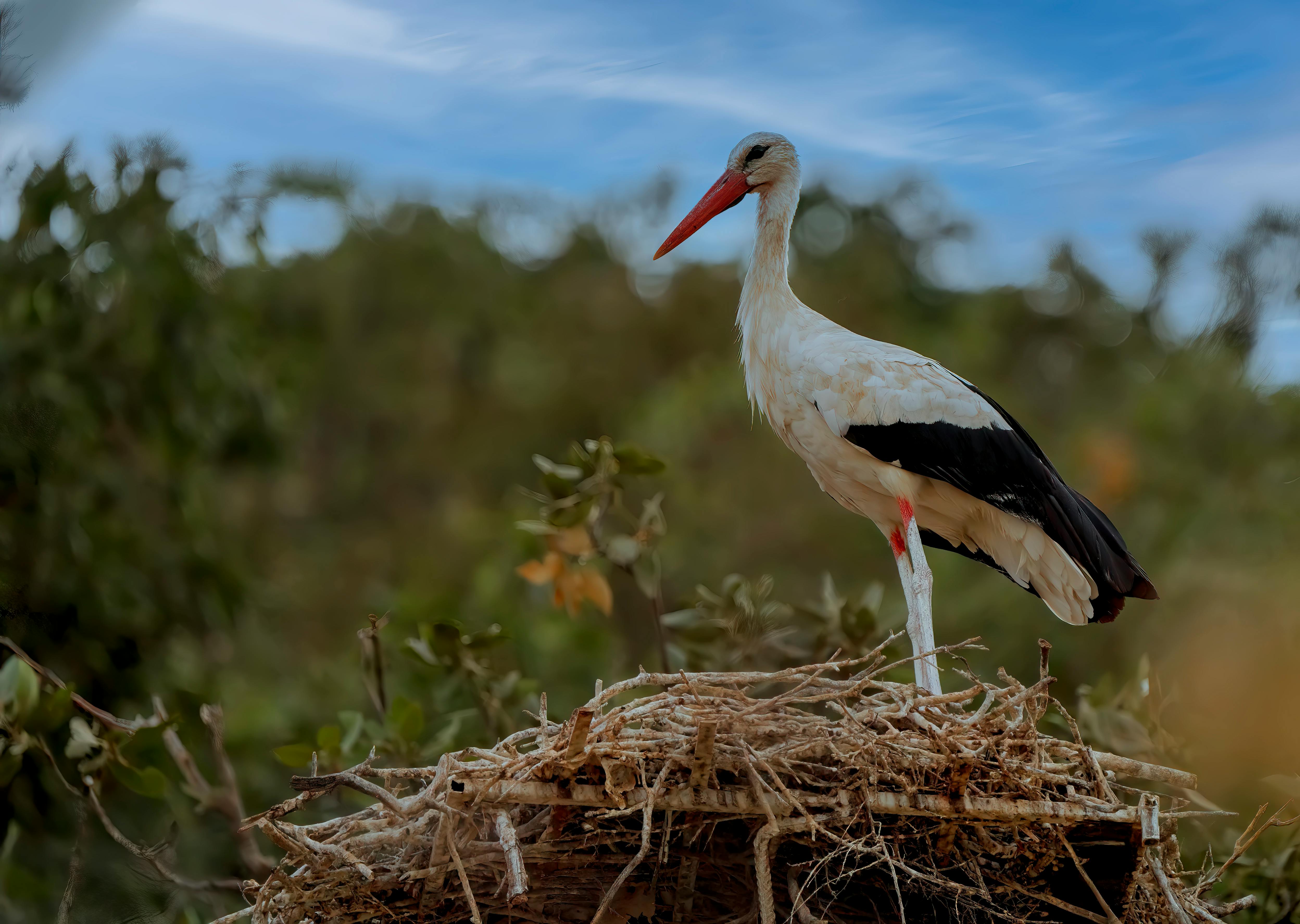 Marivan Photos, Download The BEST Free Marivan Stock Photos & HD Images