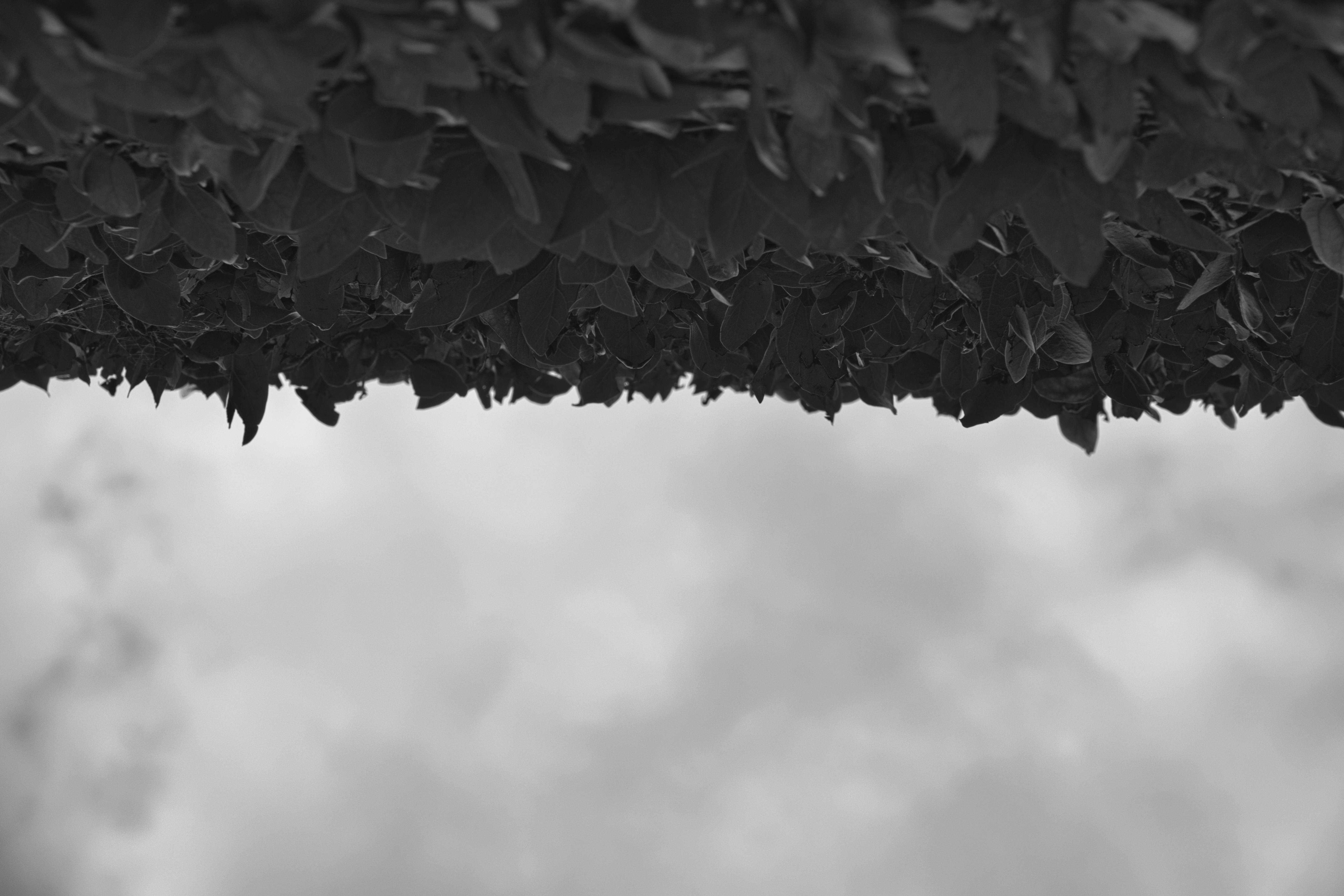 Riteshwar Ramphul - 사진