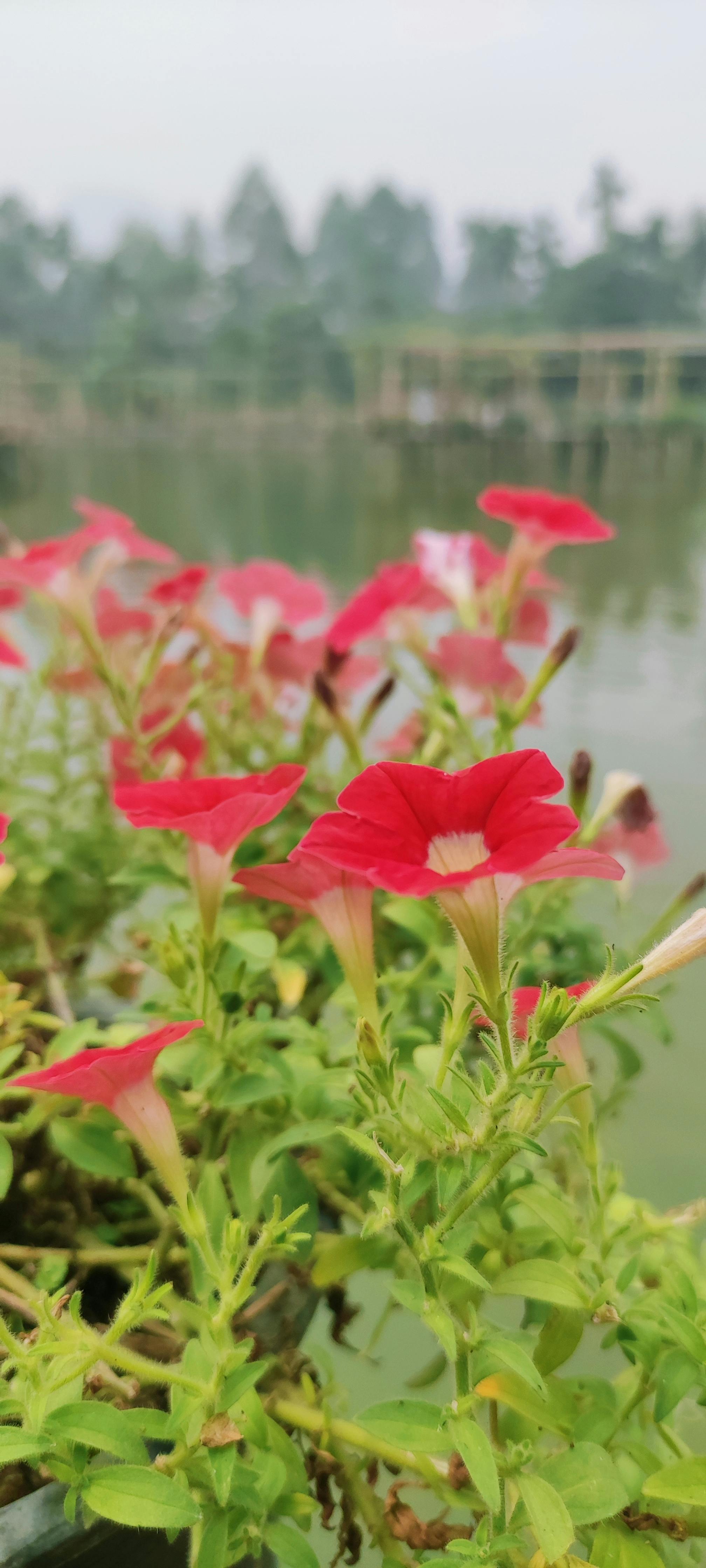 Tin Win Tun - Photographie