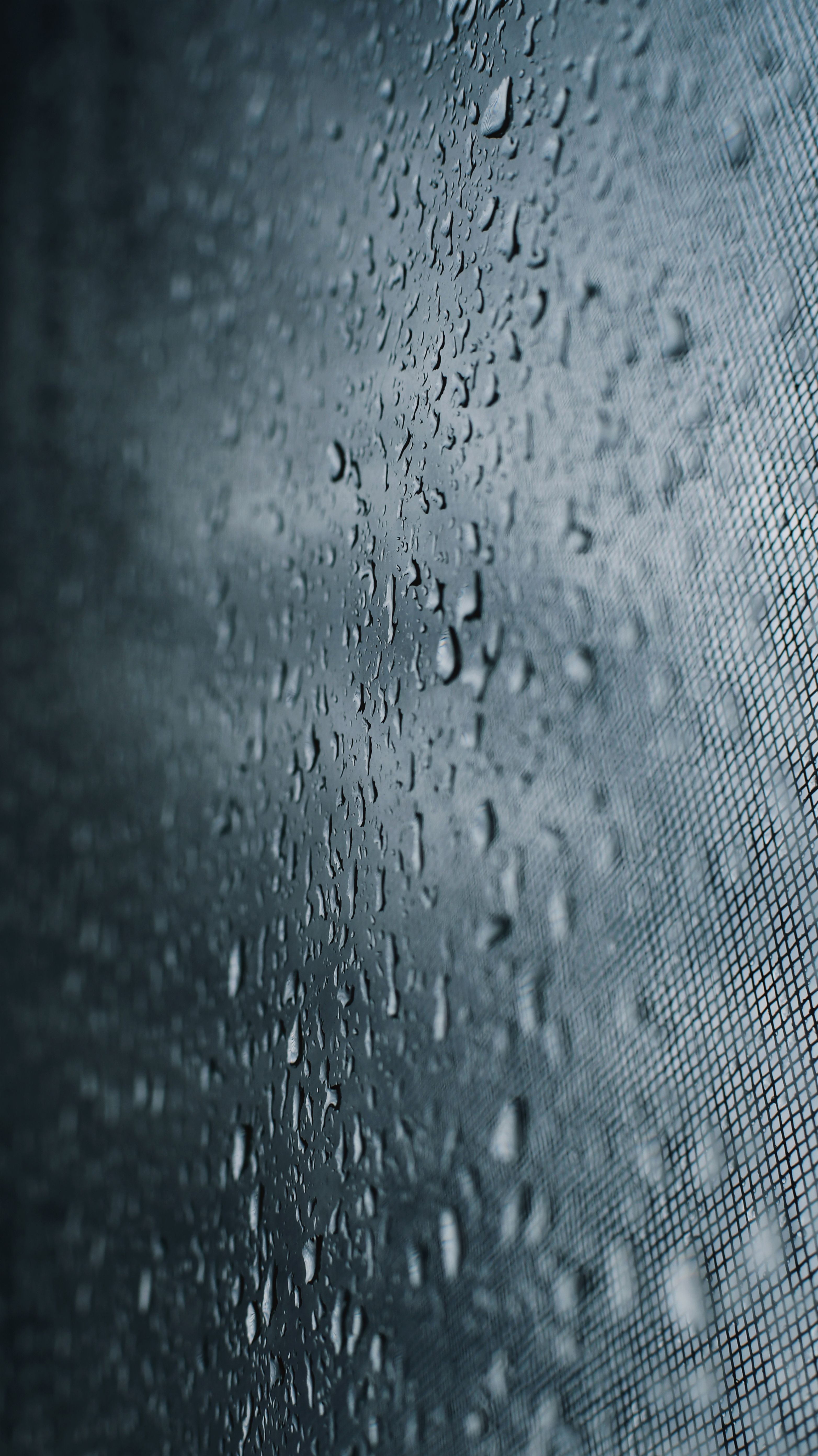 Macro Photography of Rain Drops on Black Surface · Free Stock Photo