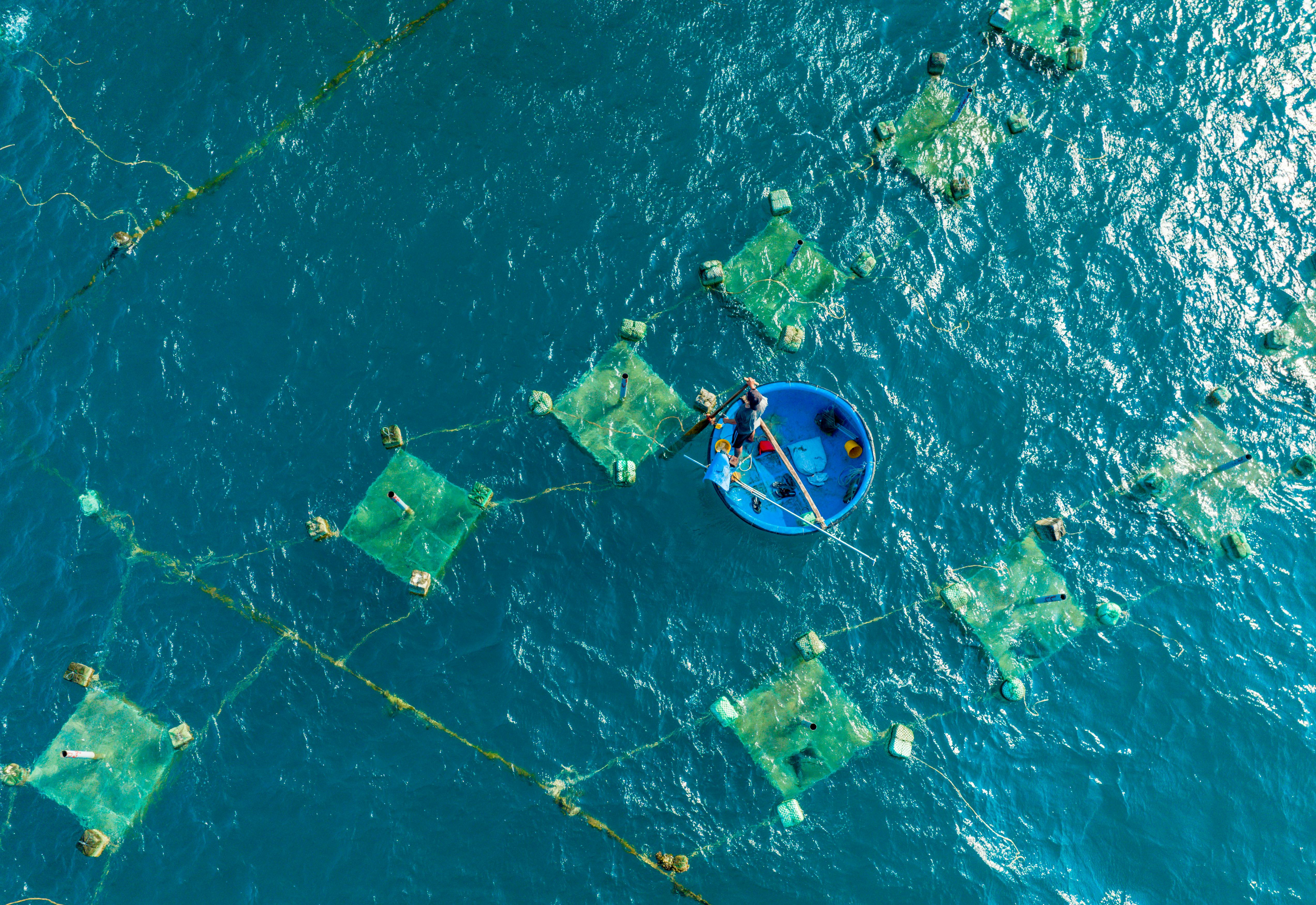 Foto de stock gratuita sobre acuicultura, acuicultura sostenible ...