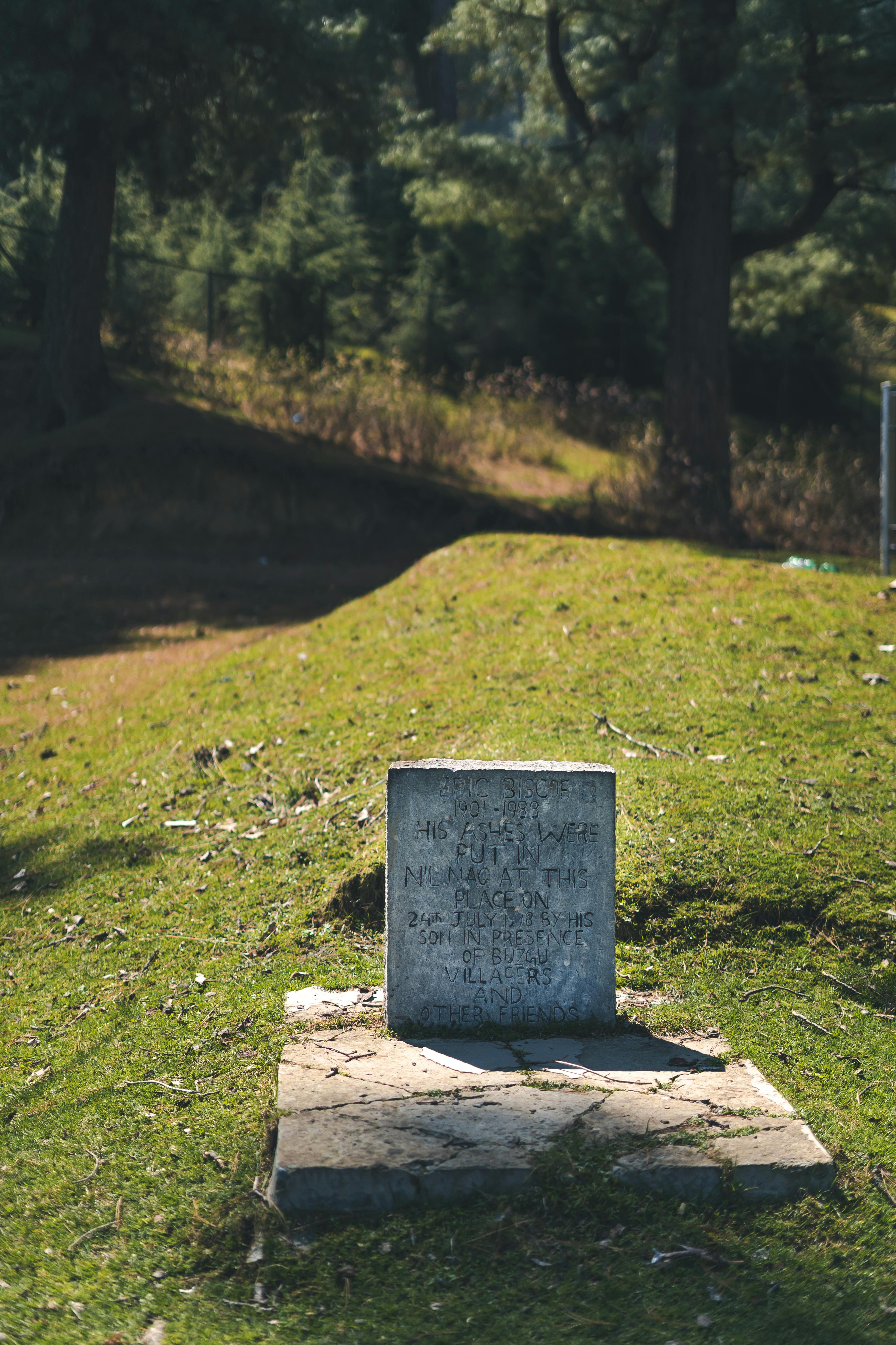 Grave on Sunlit Grass · Free Stock Photo