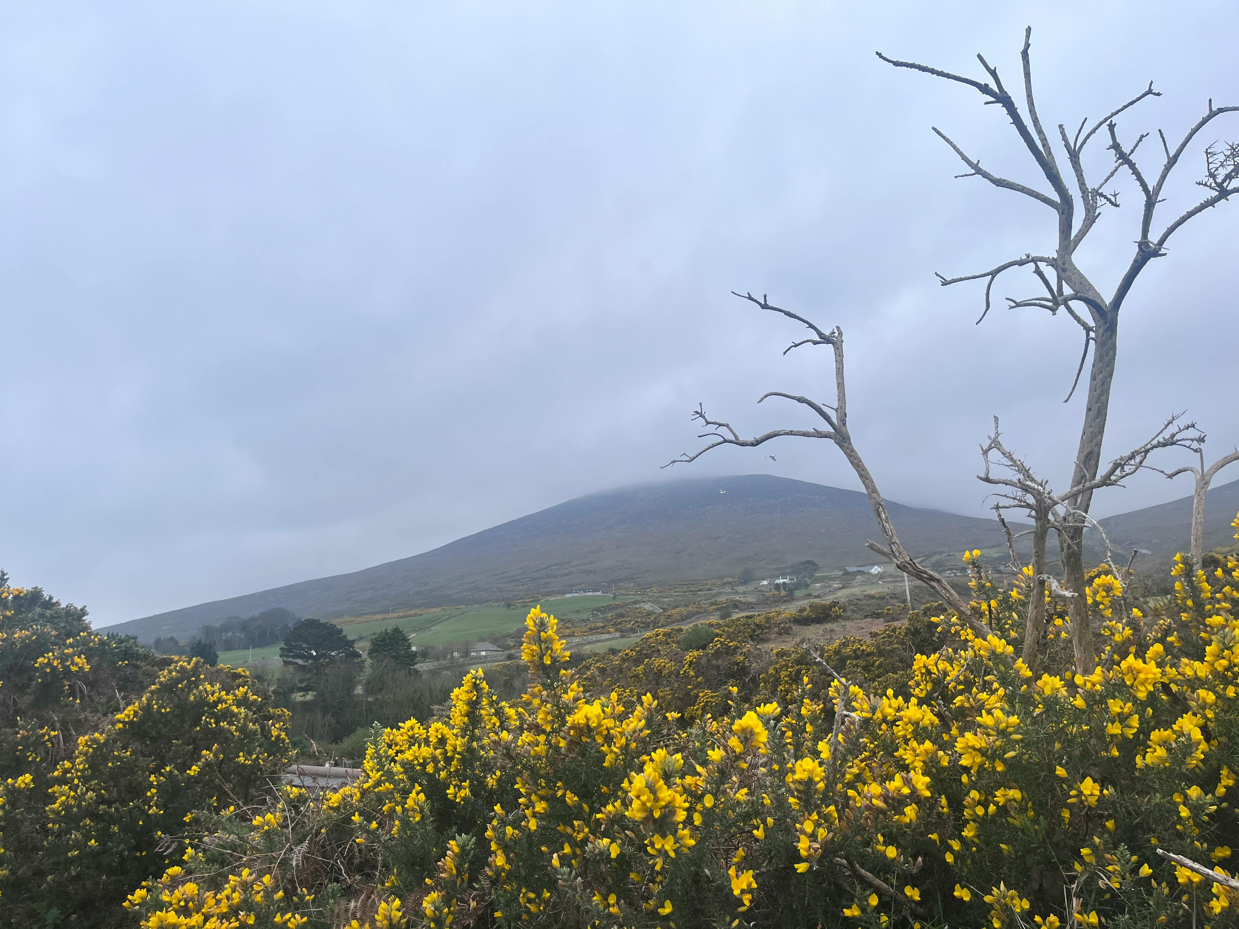 Taylor Hamilton - Photographie