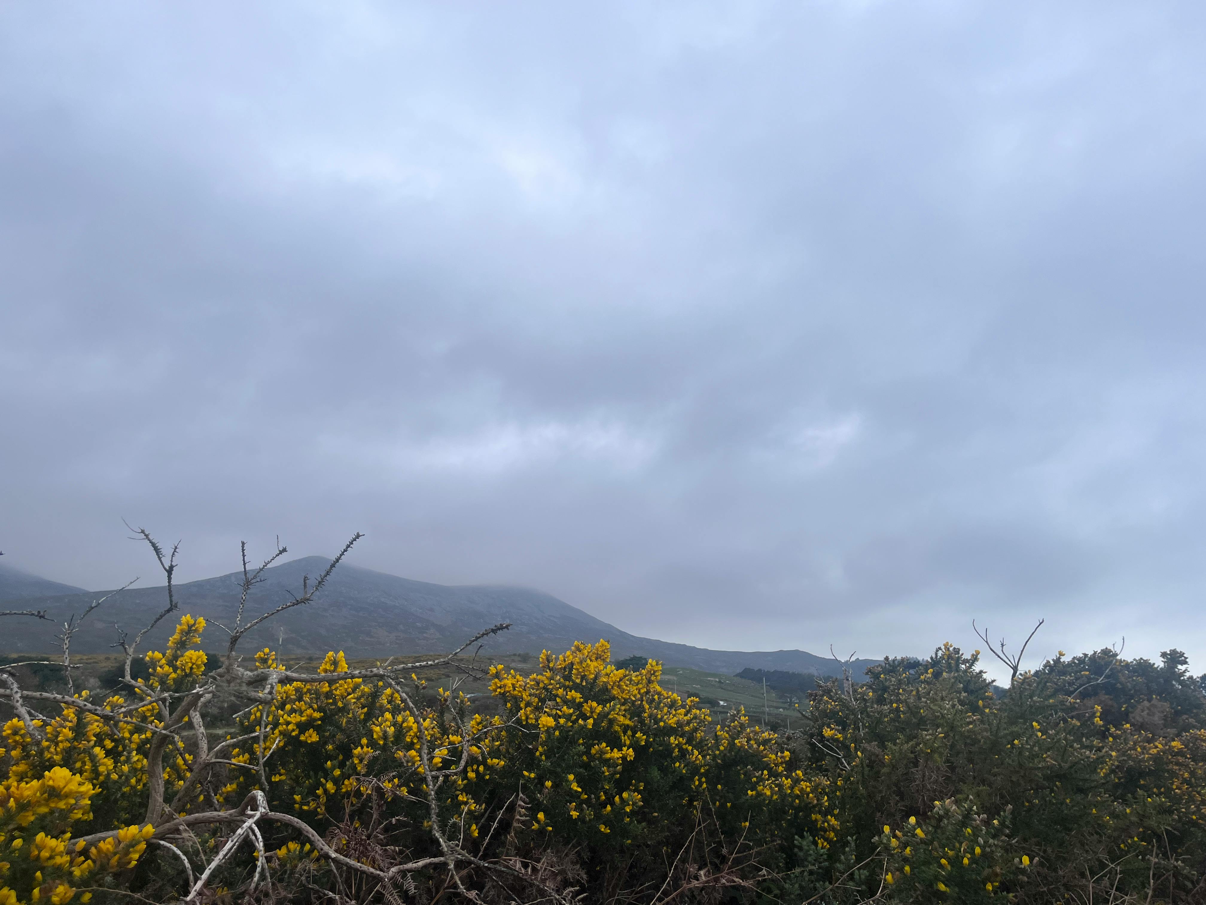 Taylor Hamilton - Photographie