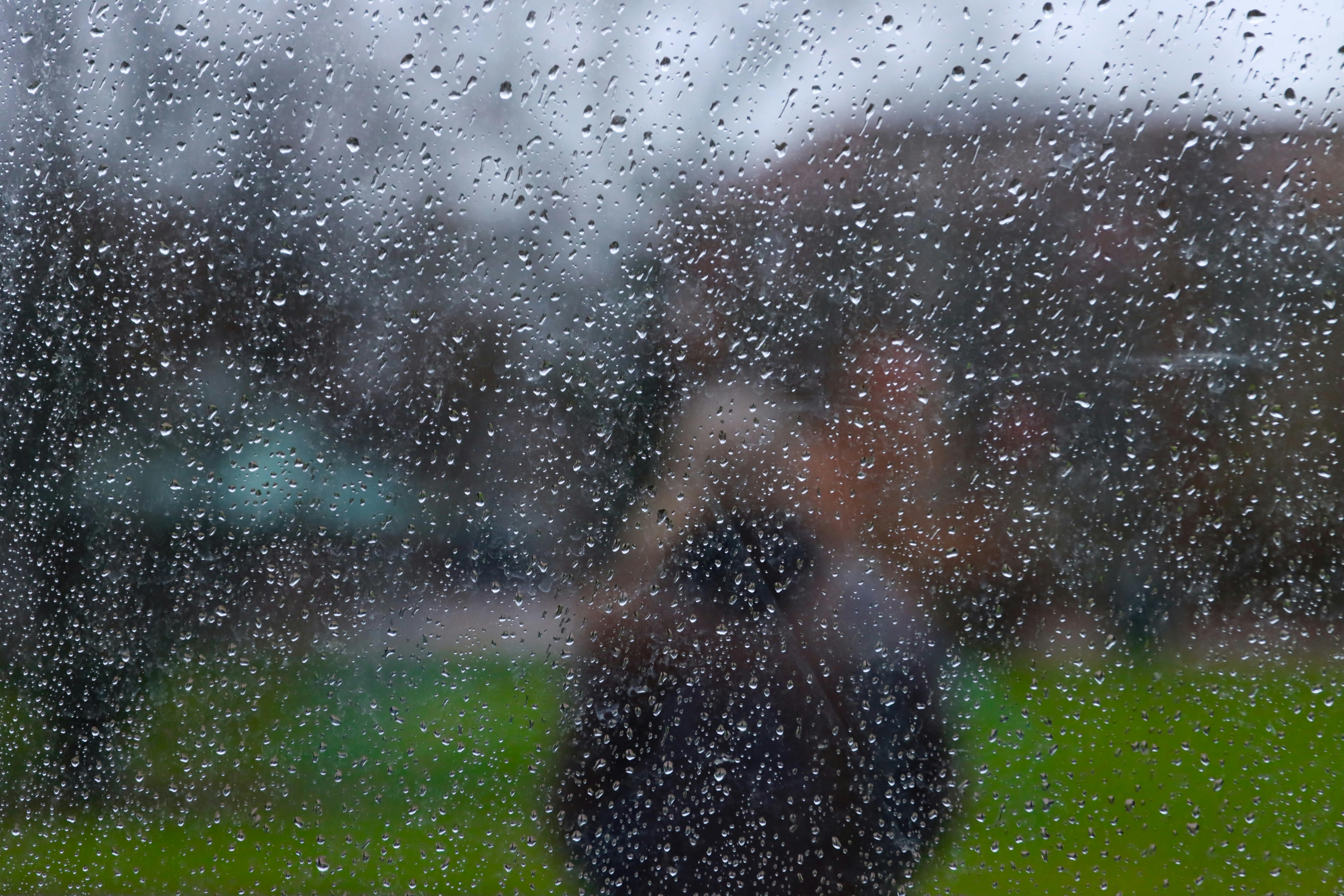Man Leaning On Glass Window Watching The Rain · Free Stock Photo