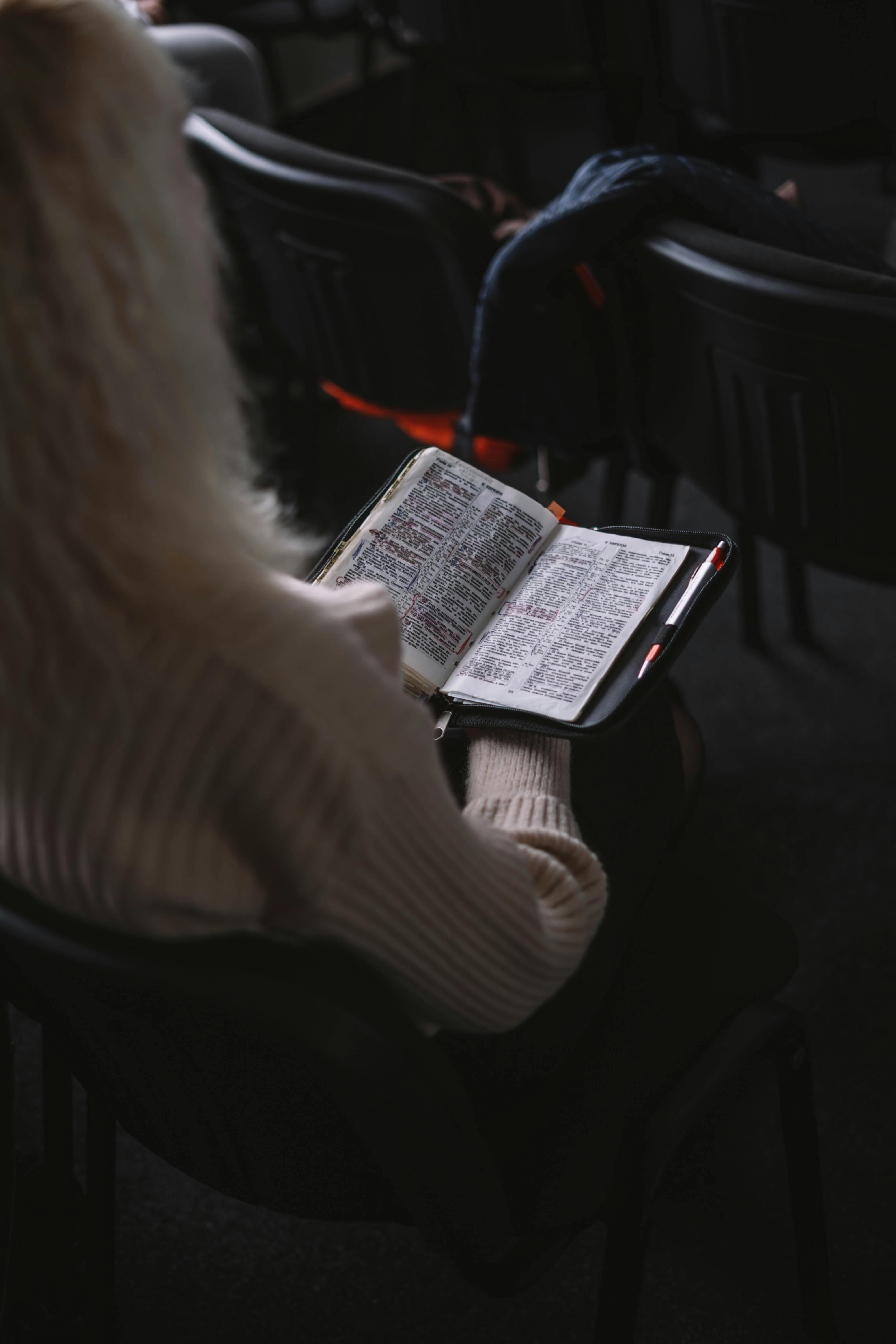 Back View of Woman Sitting Reading a Book · Free Stock Photo