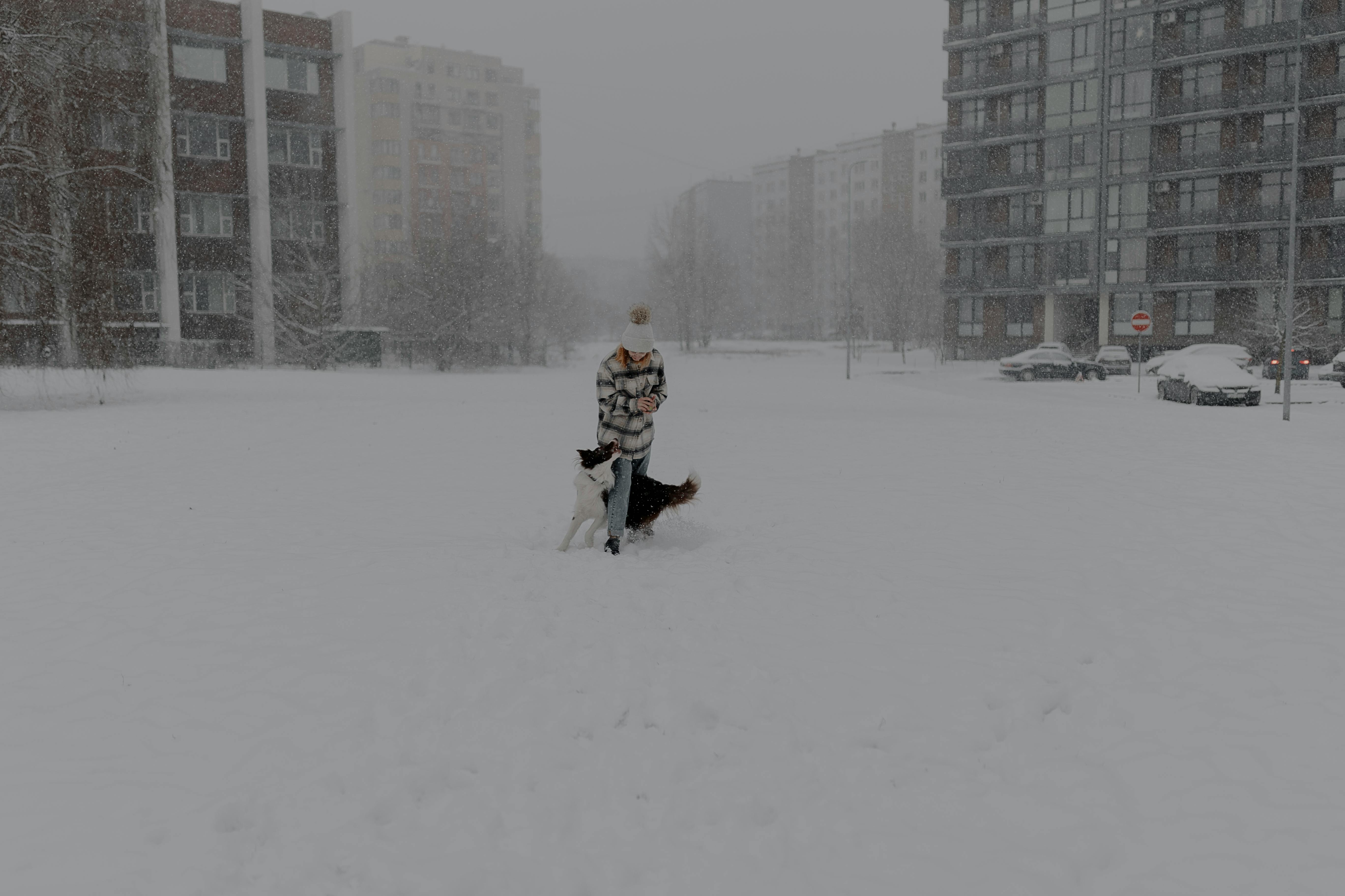 Snowfall over Street in Town · Free Stock Photo