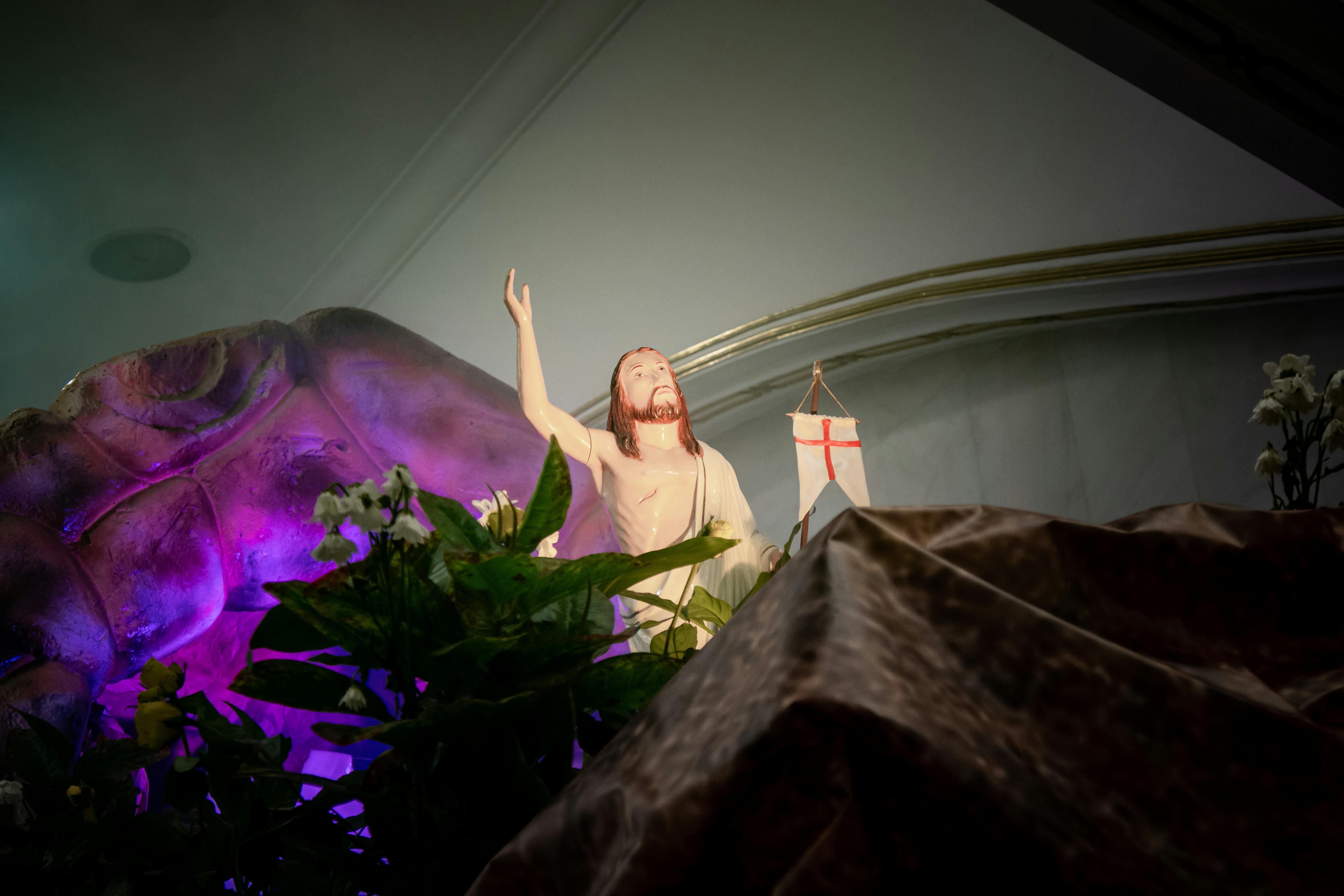 Roderick Salatan - 사진