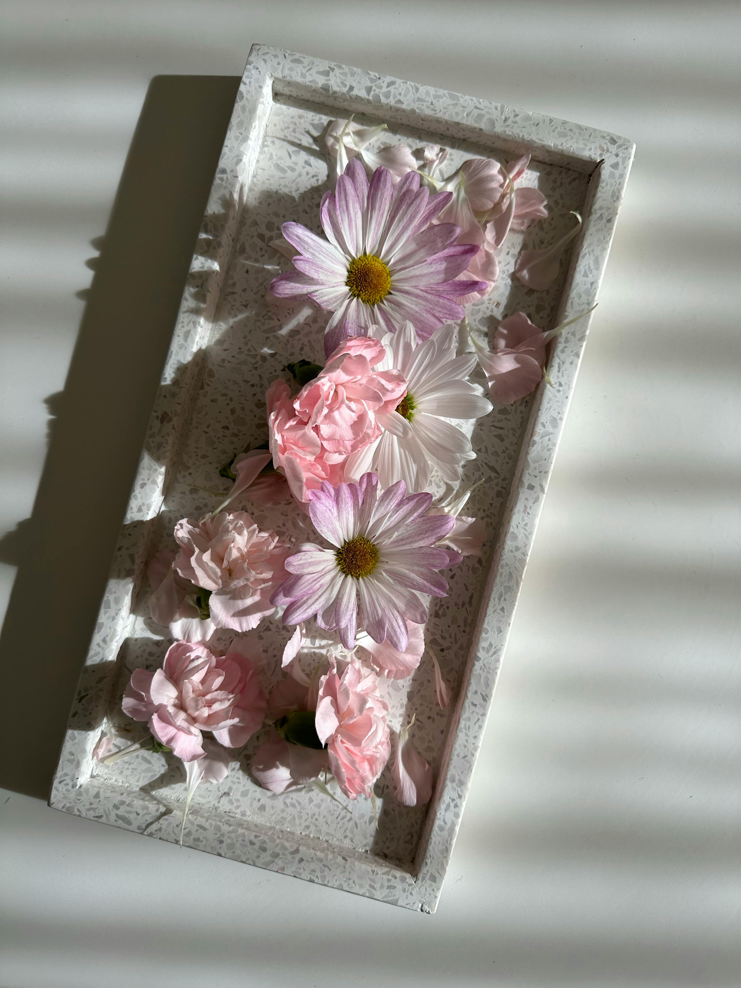 Close up of Flowers on Plate · Free Stock Photo