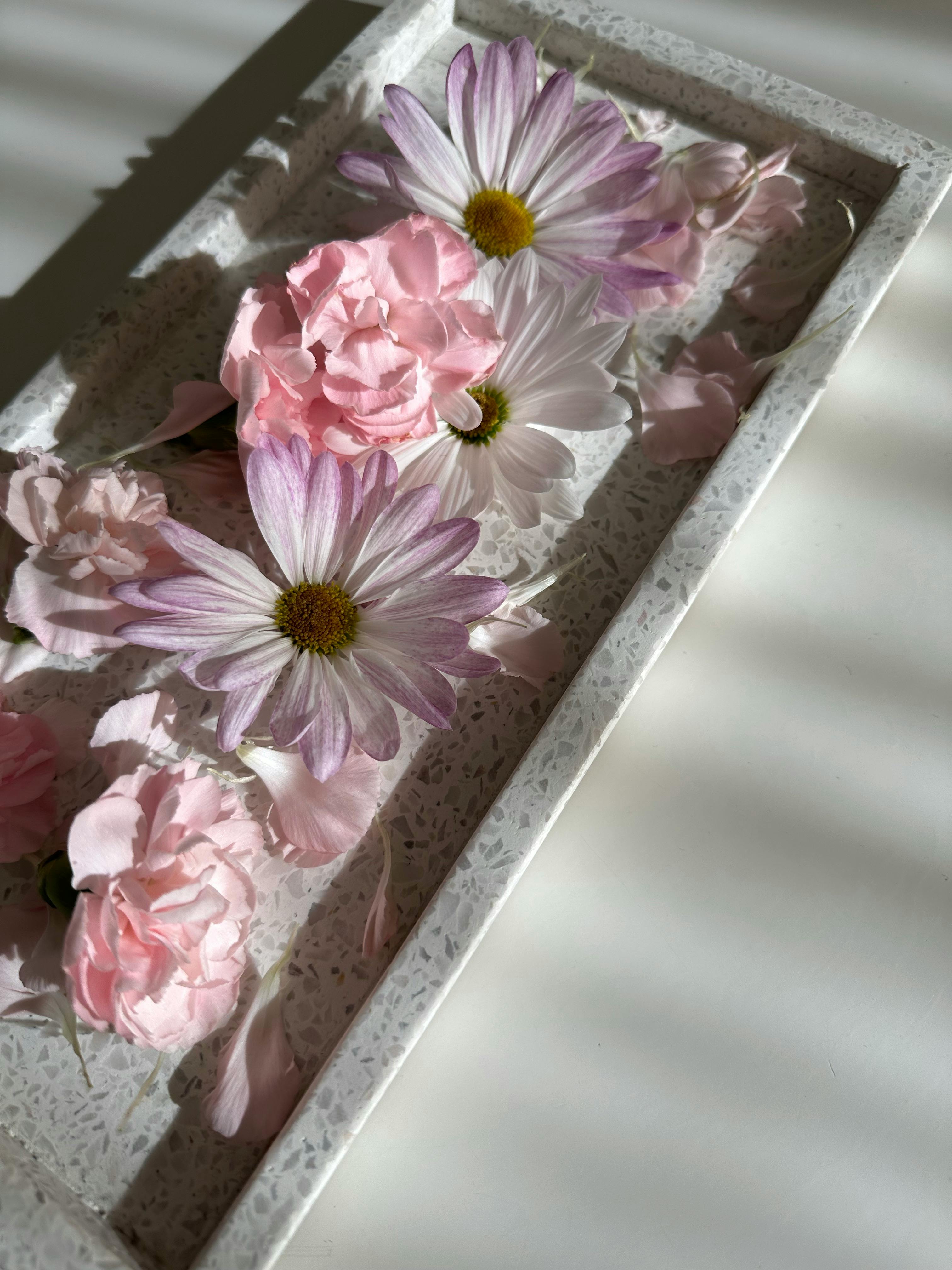 Flowers on Plate · Free Stock Photo