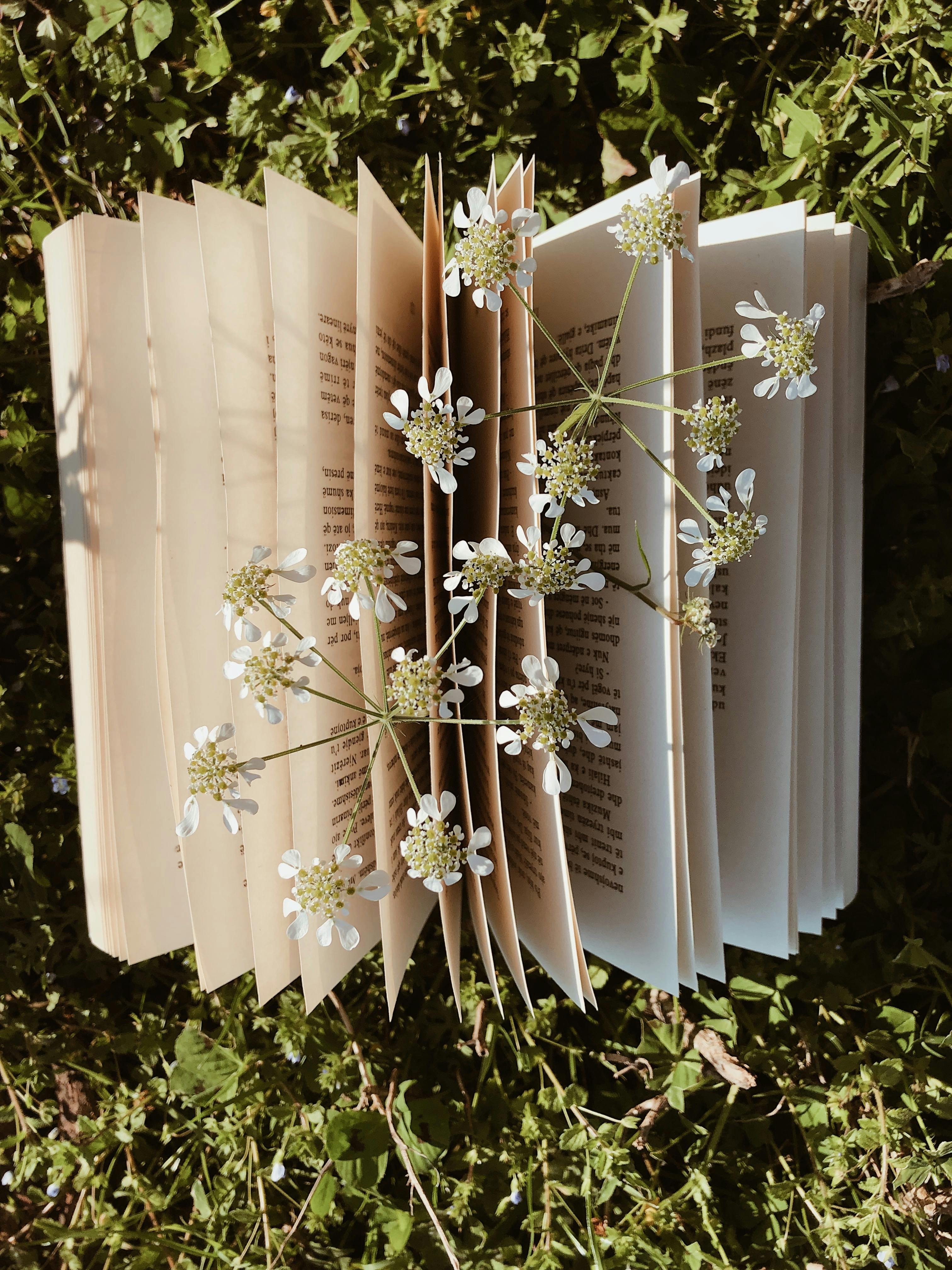 White Flowers on a Book in Garden · Free Stock Photo