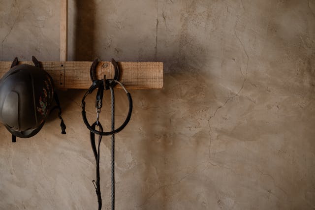 Training Reining Horses: A Simple Guide from Start to Finish