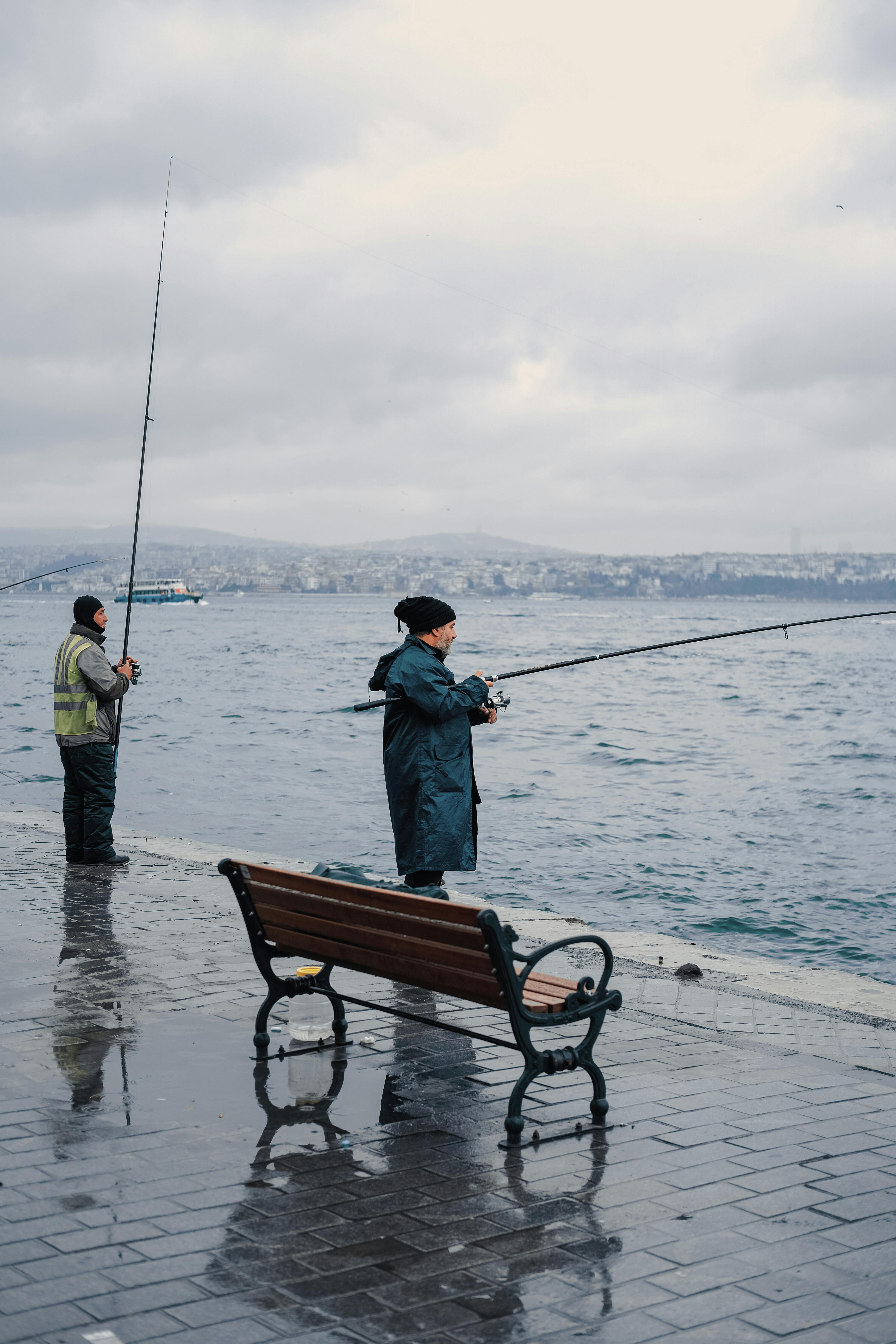 Fish Rain Photos, Download The BEST Free Fish Rain Stock Photos & HD Images