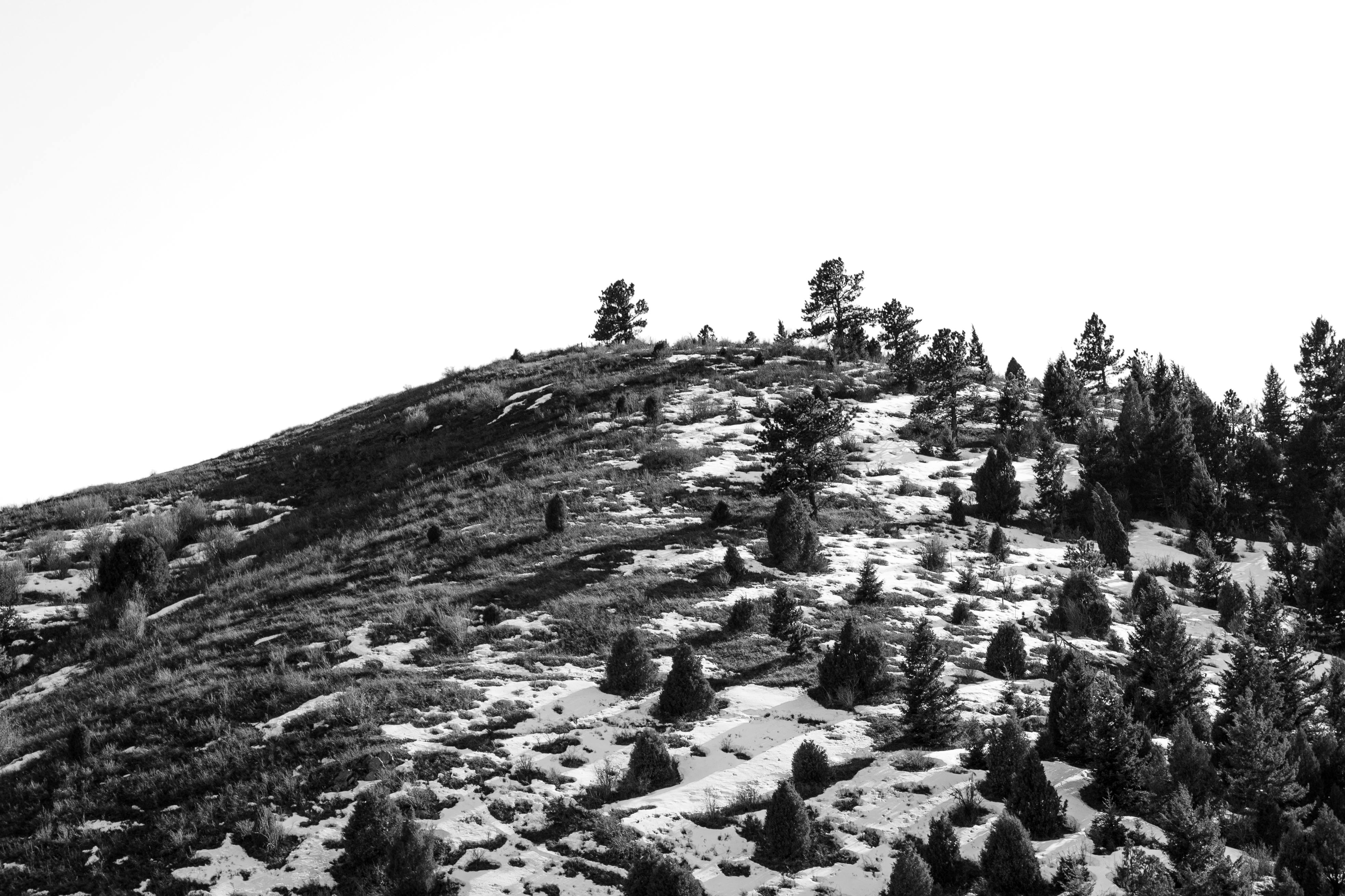 Photo of a Watchtower · Free Stock Photo