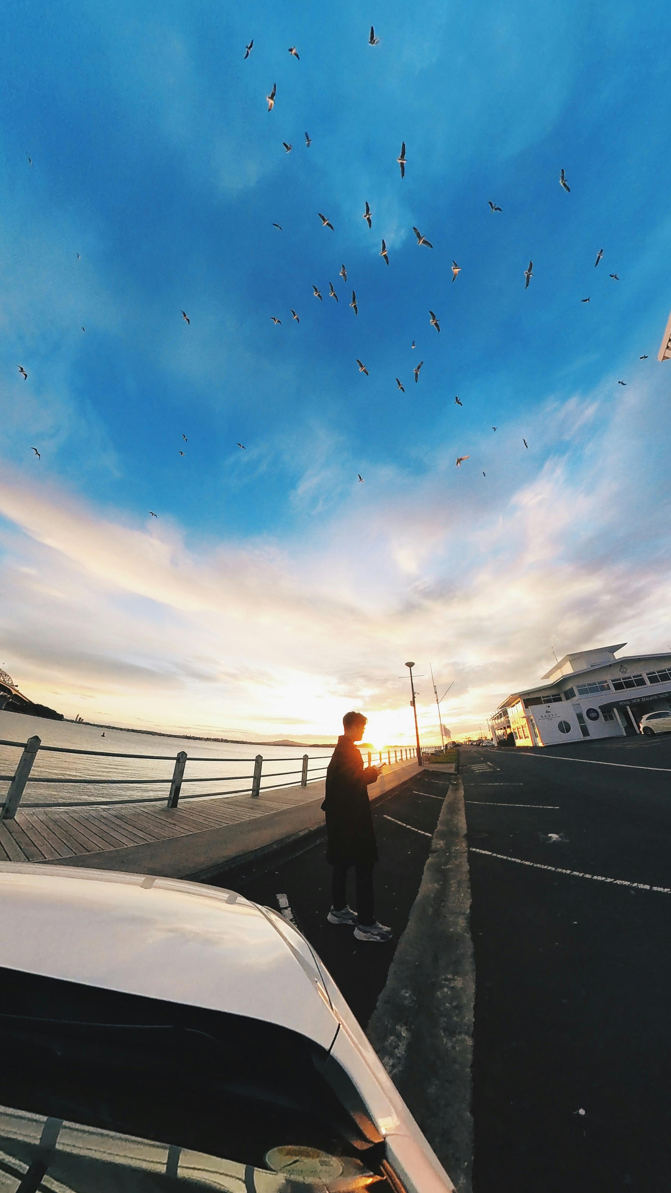 Nicholas Ang - 摄影