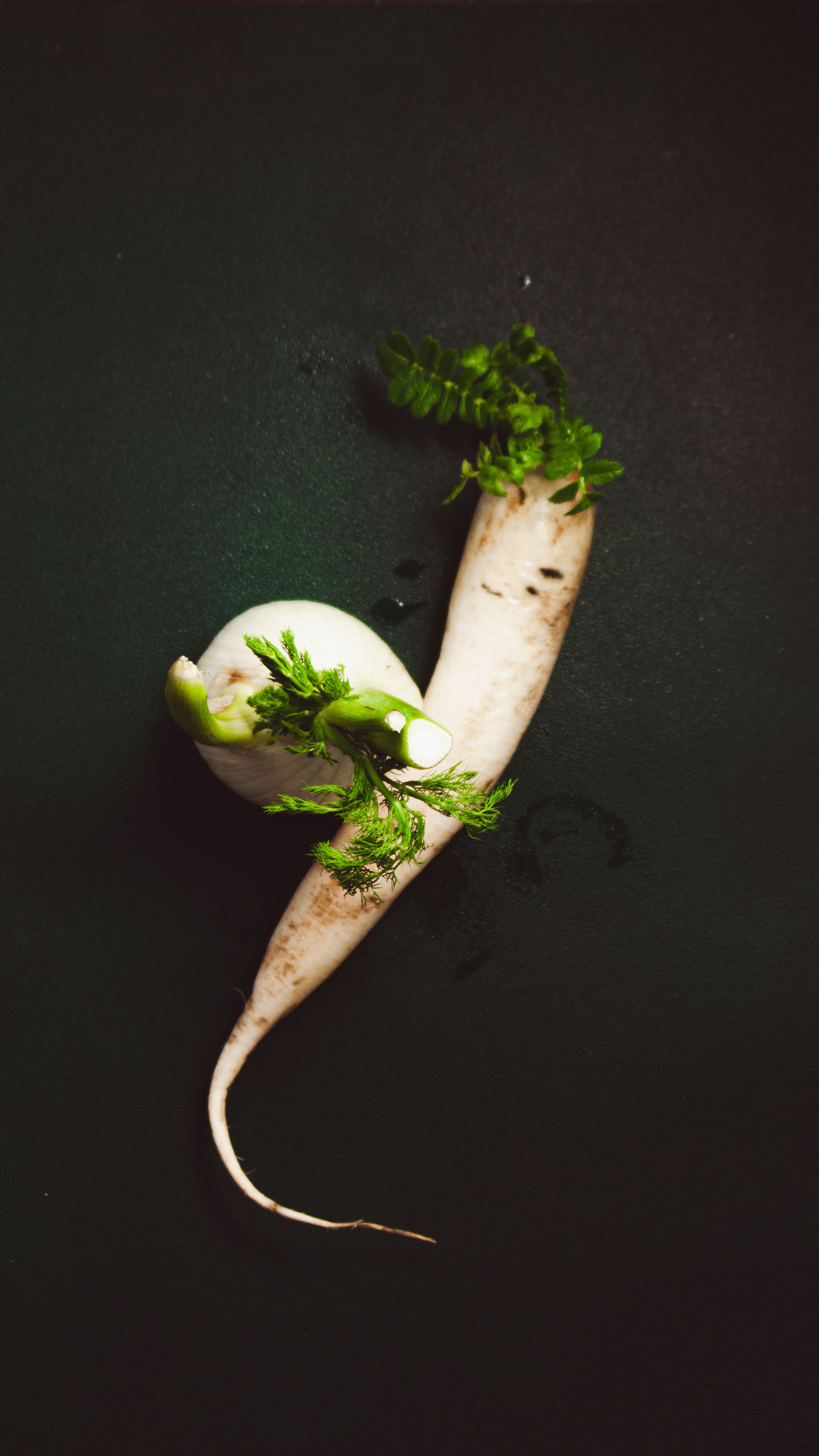 Radish Background Photos, Download The BEST Free Radish Background ...