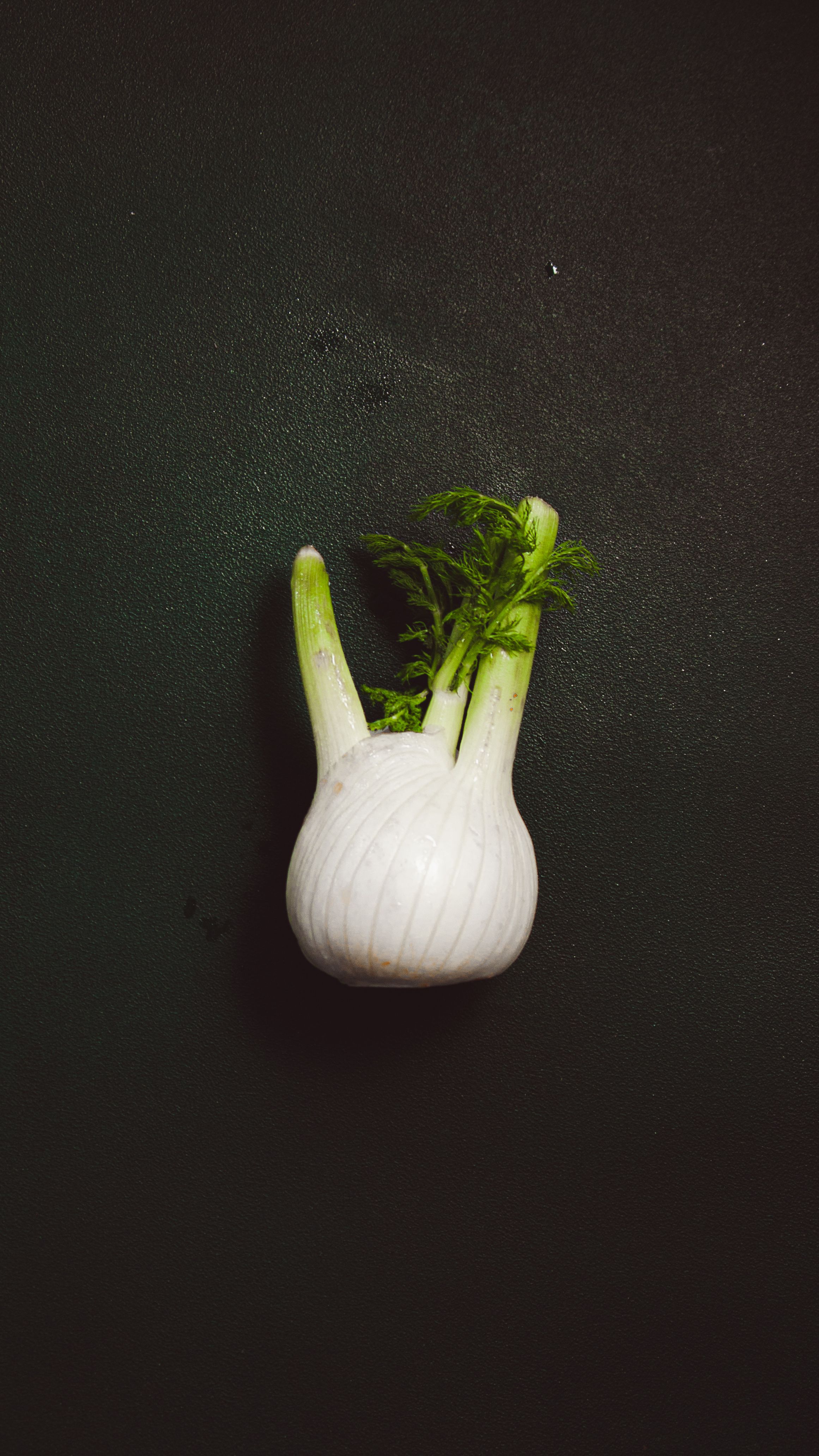 Close up of Leek · Free Stock Photo