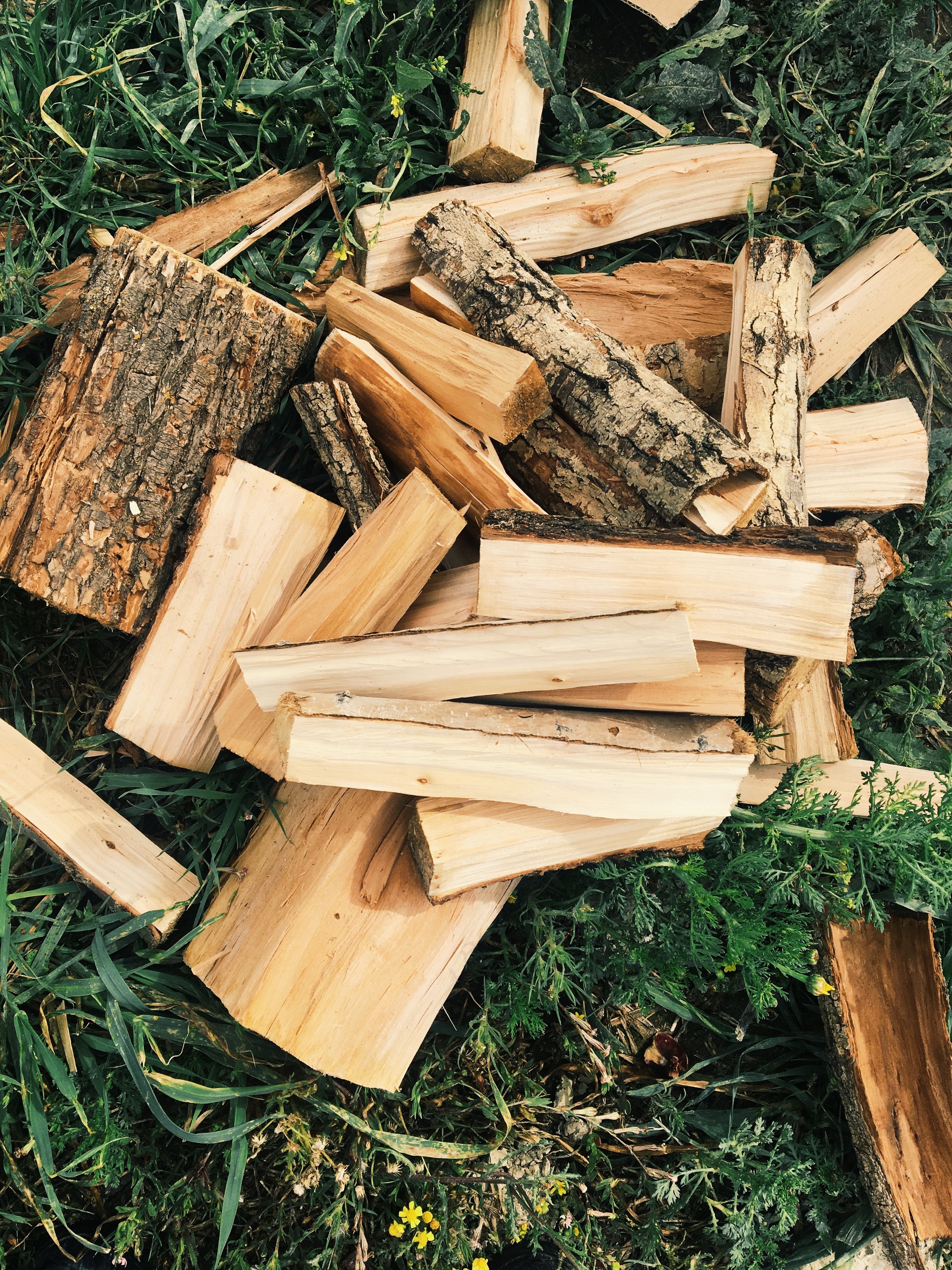 Close-up of a Pile of Chopped Wood on the Ground · Free Stock Photo