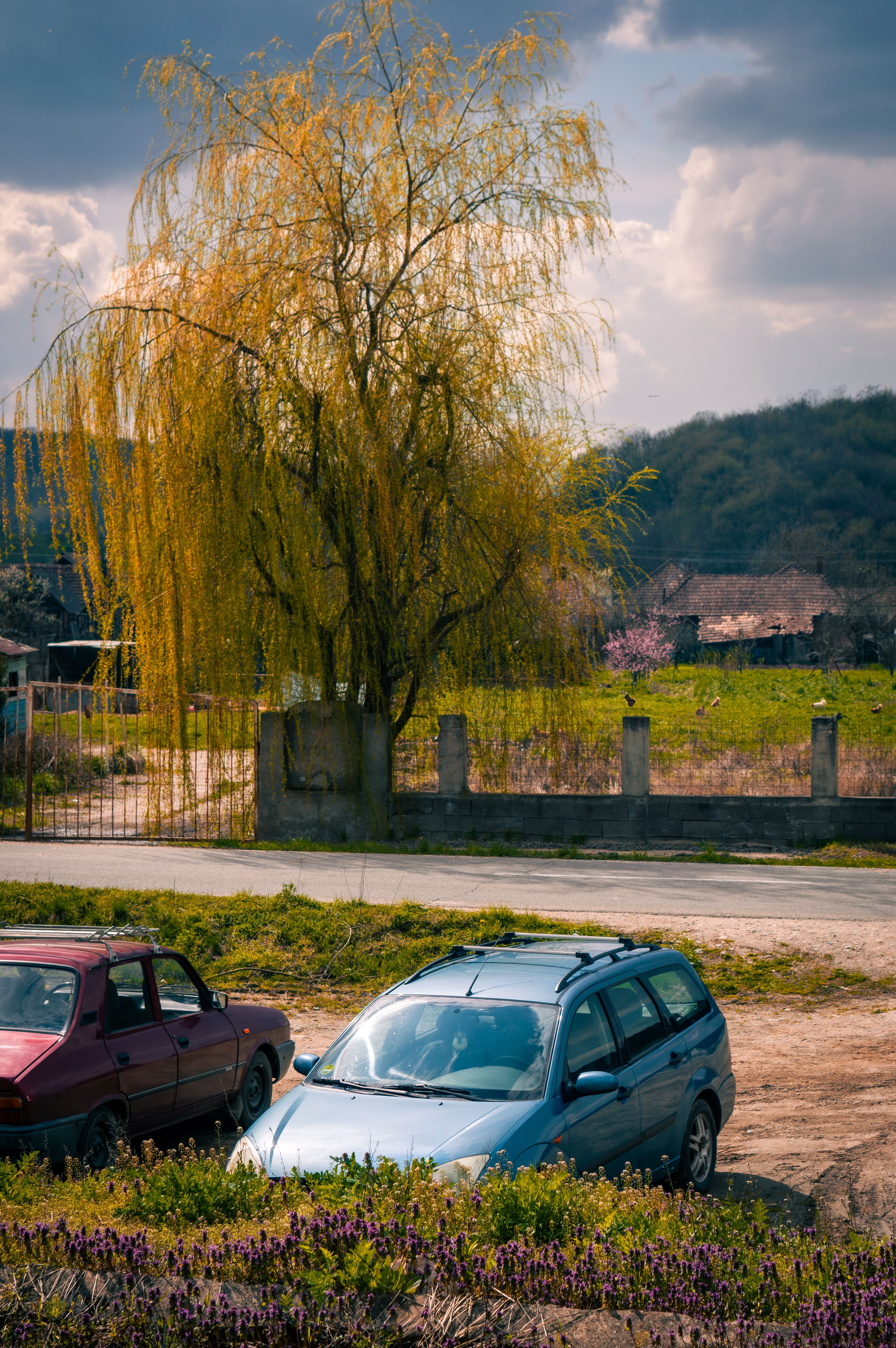 Tree and Cars near Road in Countryside · Free Stock Photo