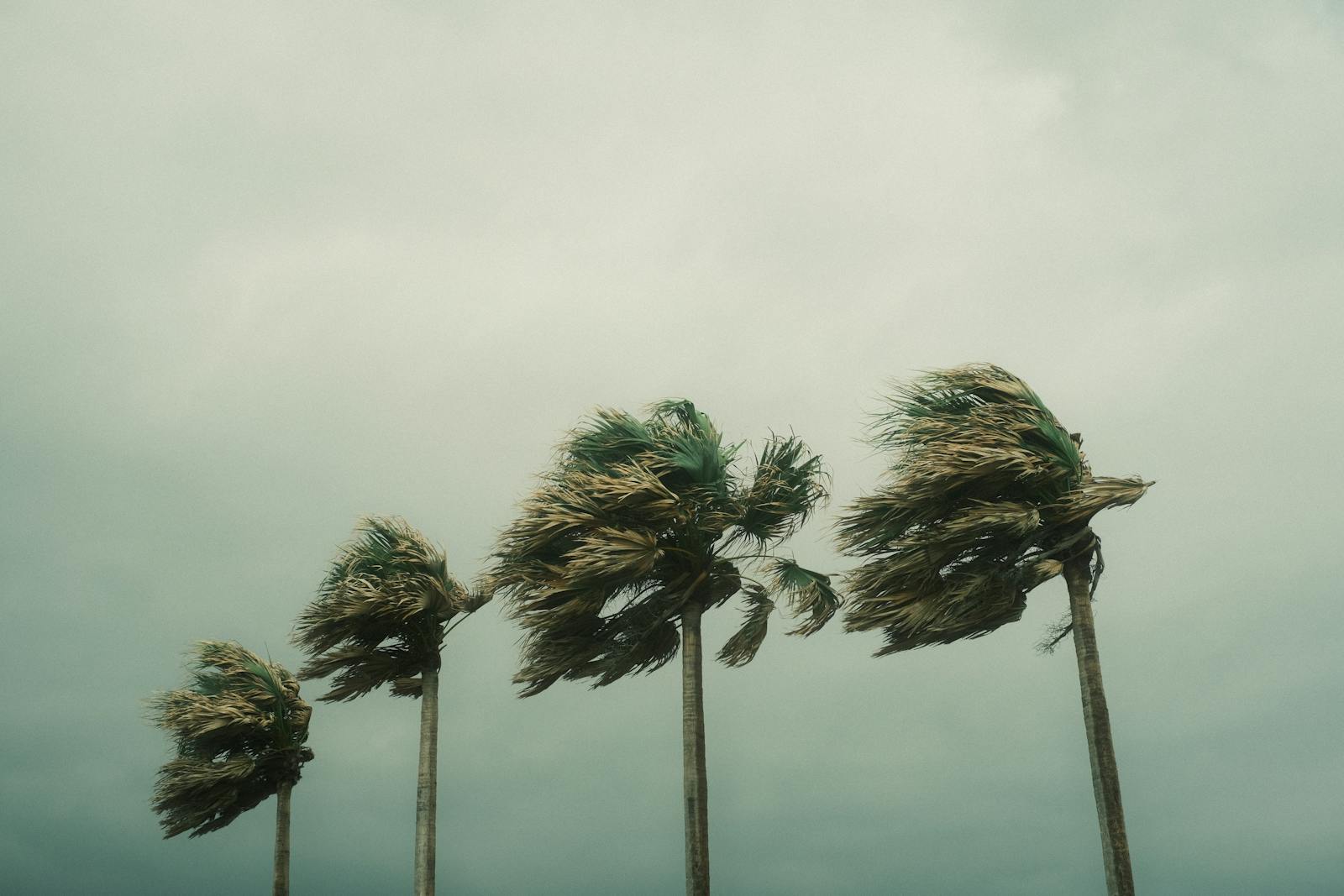 Hurricane Photos, Download The BEST Free Hurricane Stock Photos & HD Images