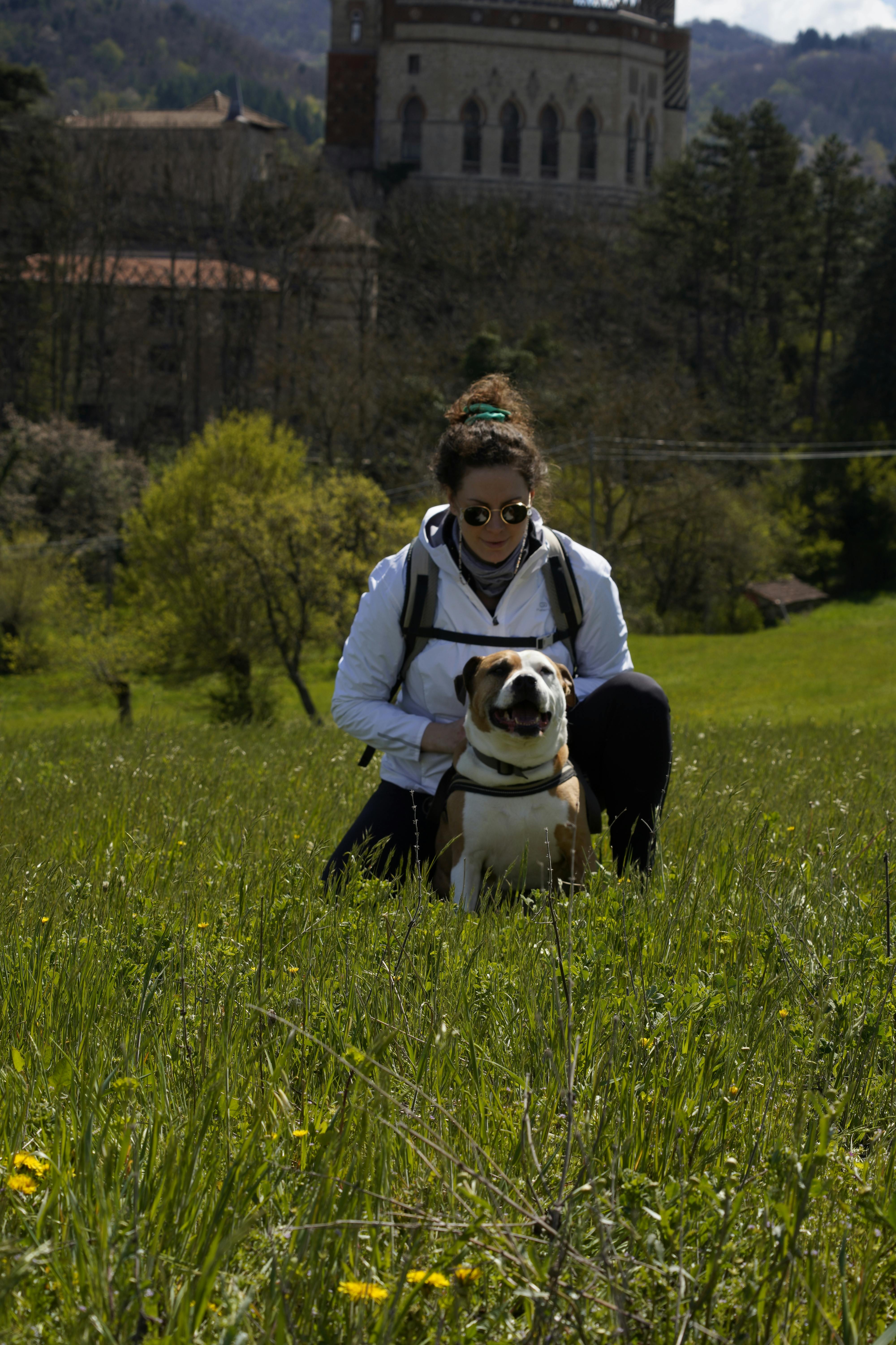 Castle Breeding Photos, Download The BEST Free Castle Breeding Stock ...