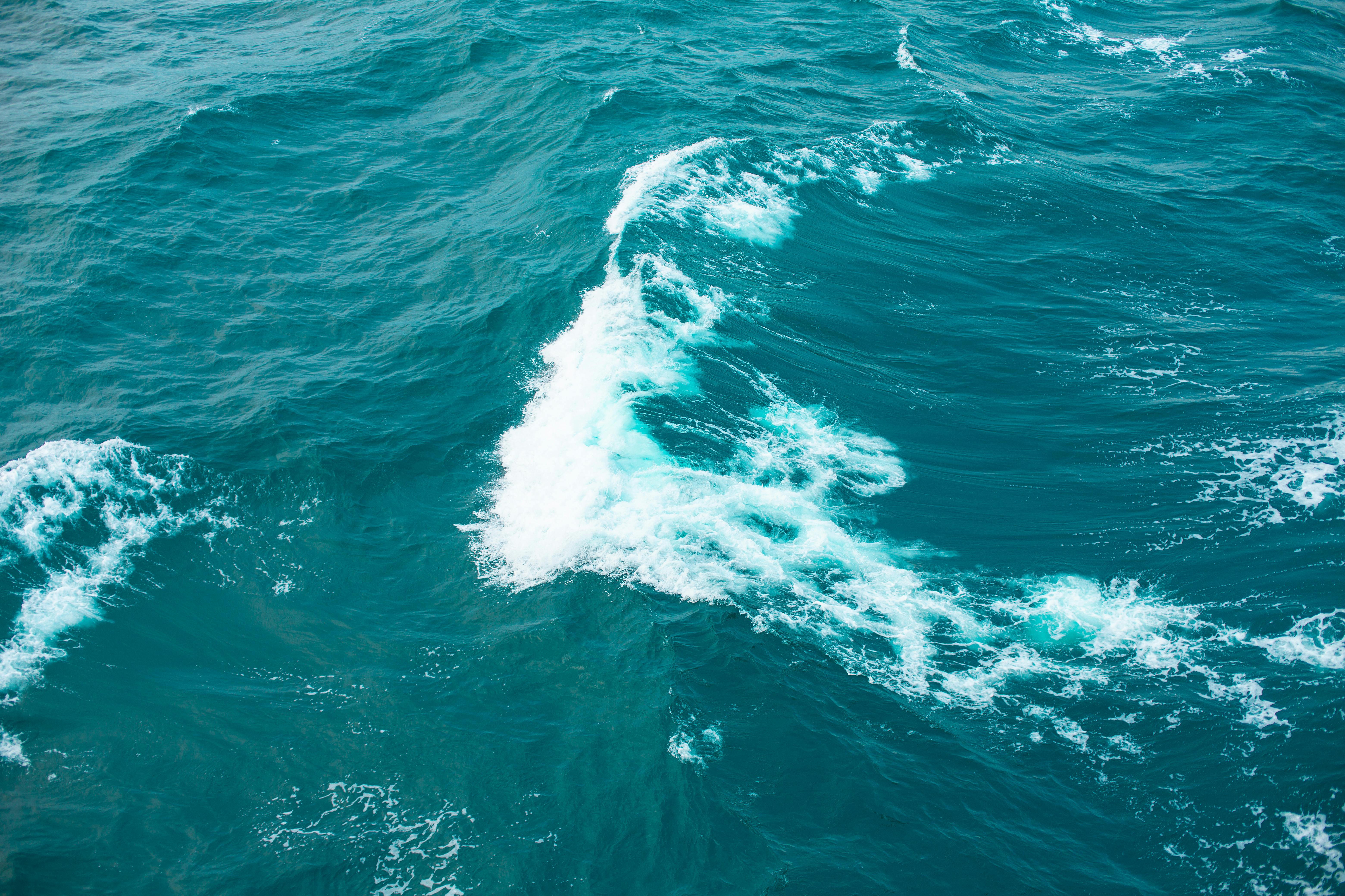 Free Flow Chart Photos, Download The BEST Free Free Flow Chart Stock ...