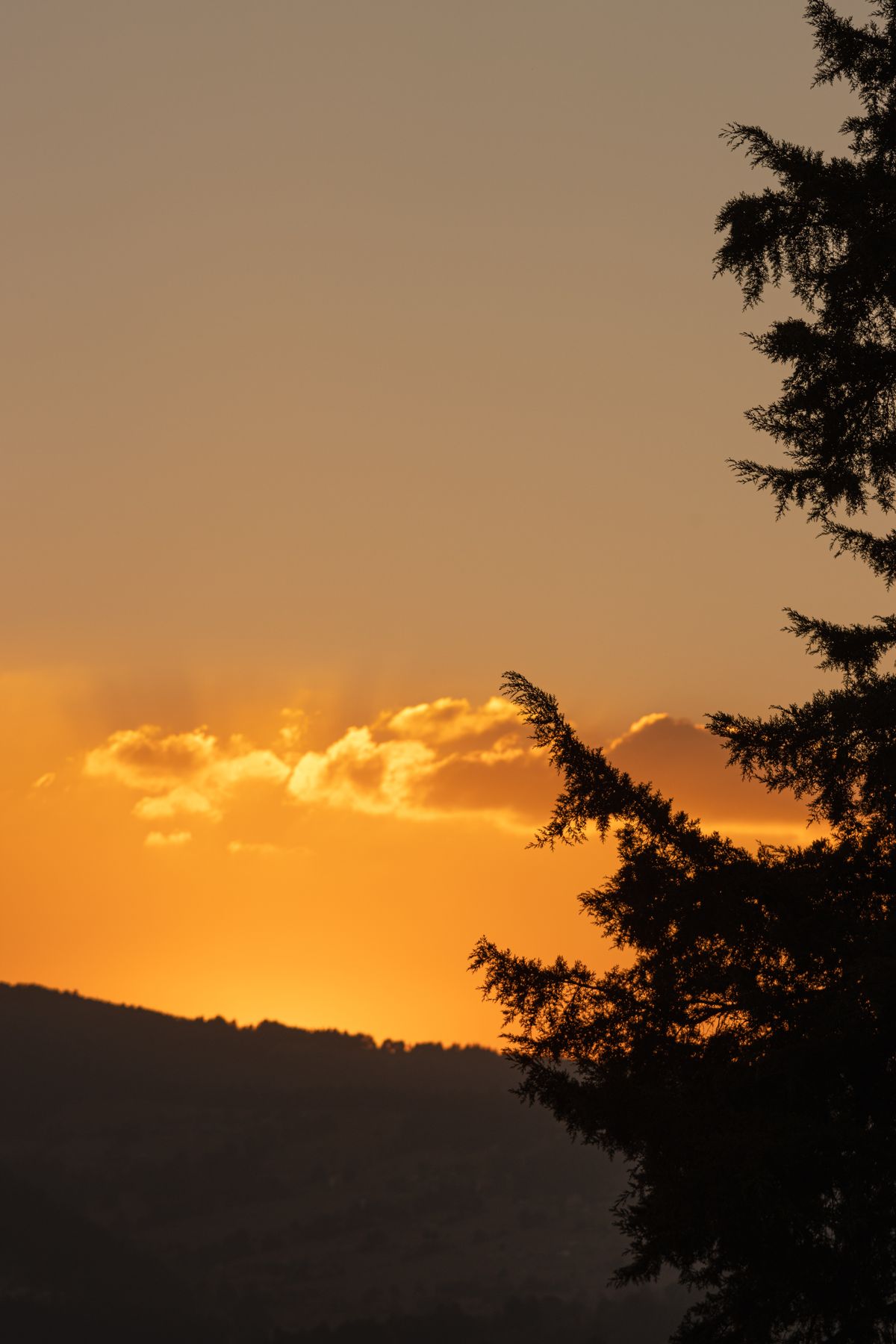 Sun Moon And Stars In The Sky Photos, Download The BEST Free Sun Moon ...