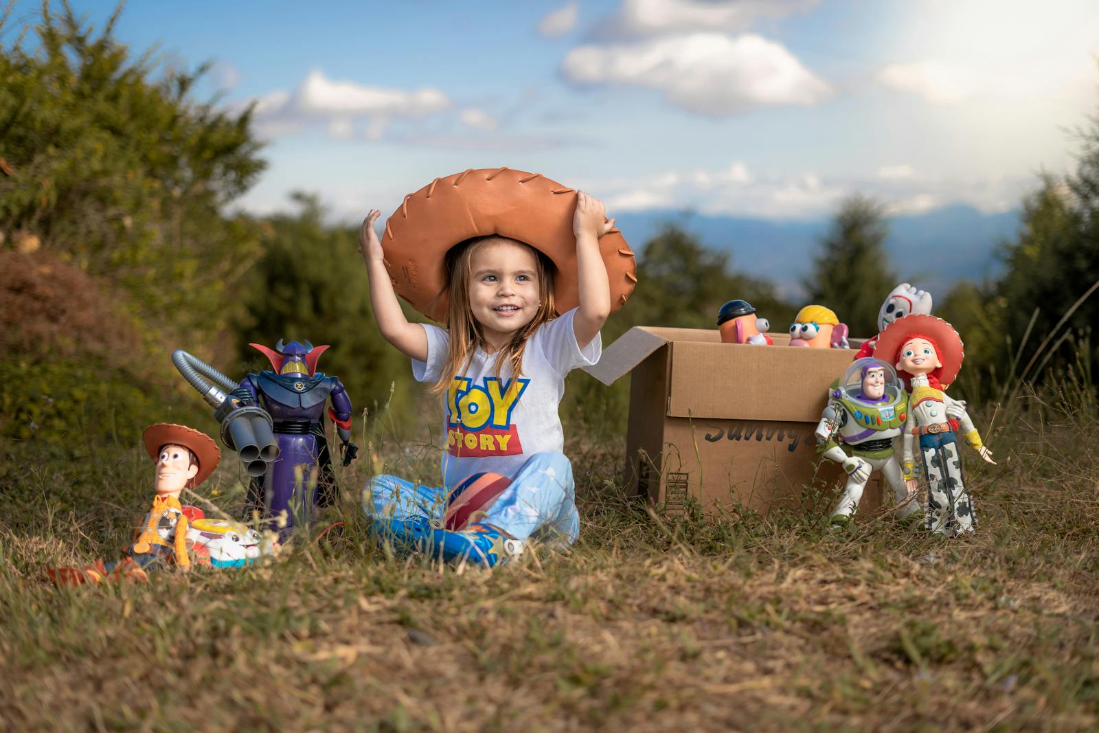 Toy Story Photos, Download The BEST Free Toy Story Stock Photos & HD Images