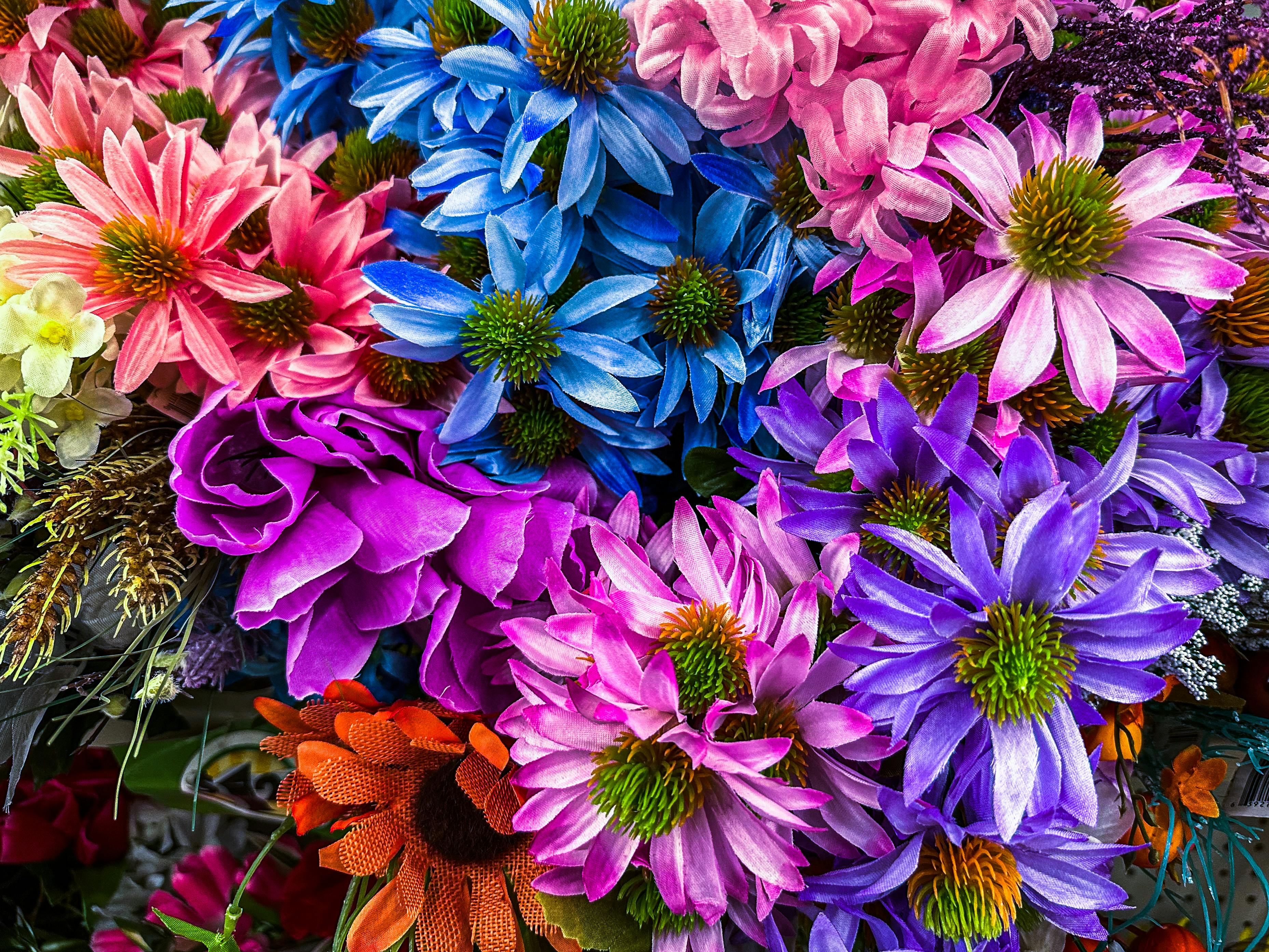 843+ Fotos y Imágenes de Chrysanthemum ยืเ Gratis · Banco de Fotos Gratis