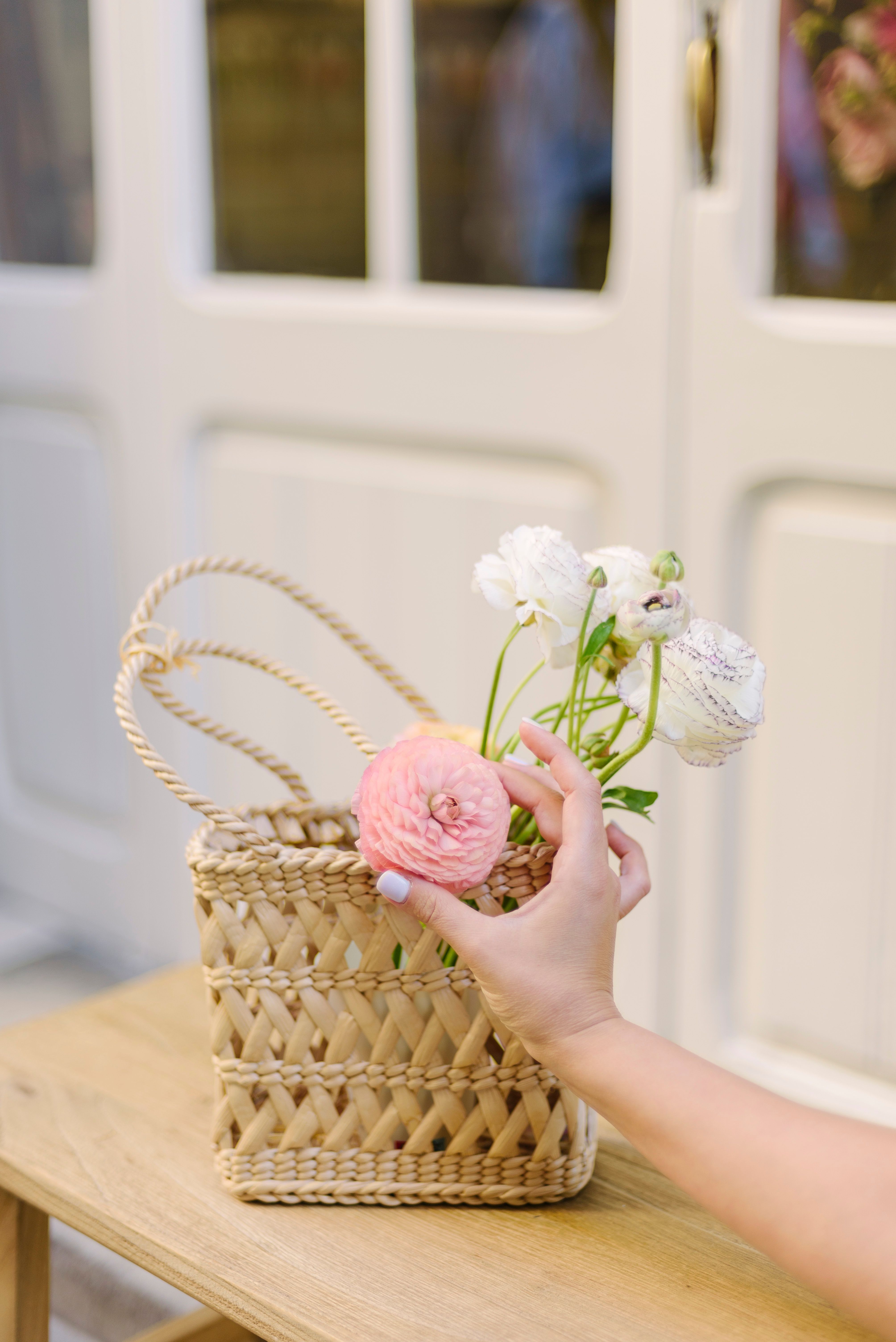 Woman Carrying Purple Flowers · Free Stock Photo