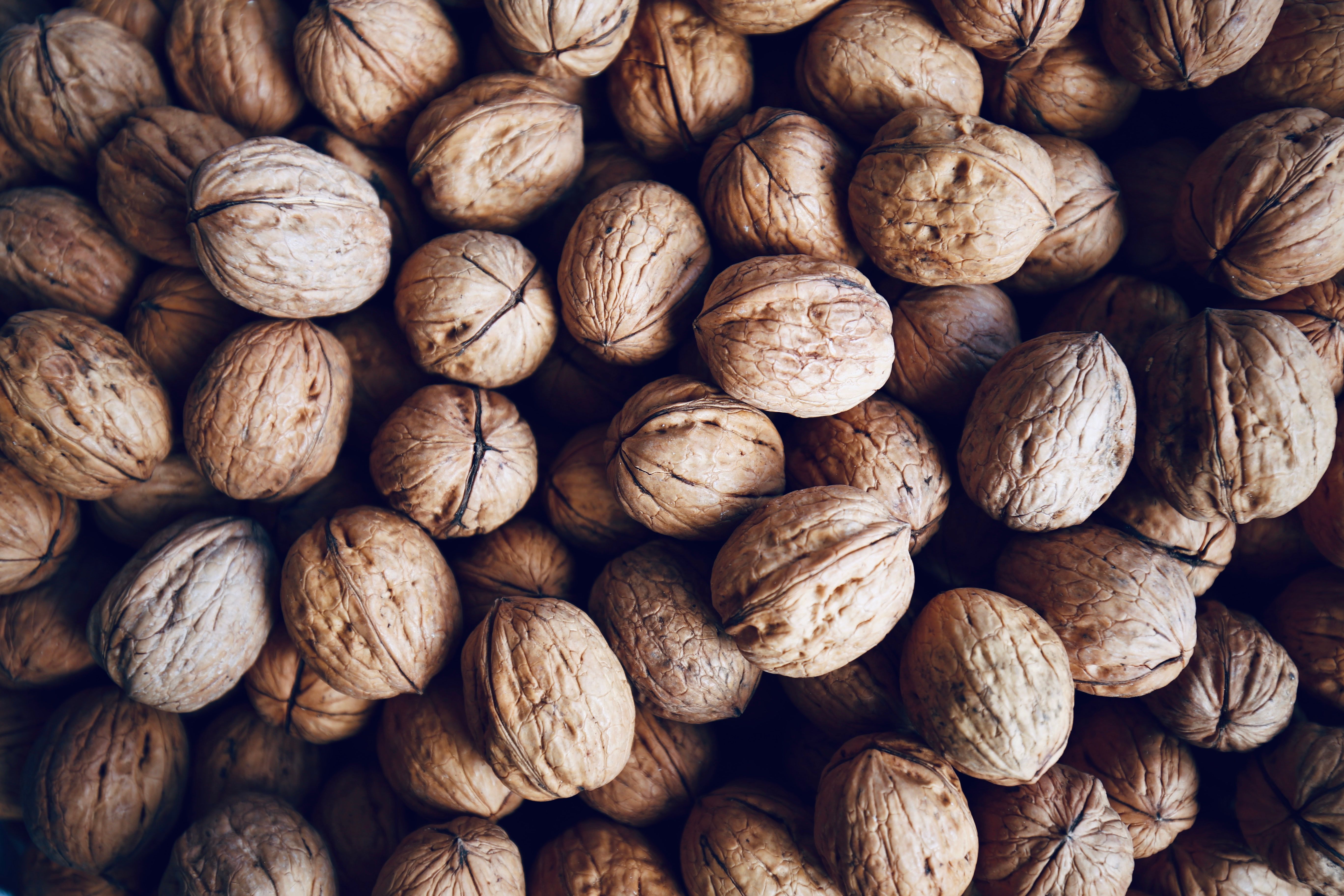 A Photo of Walnuts · Free Stock Photo