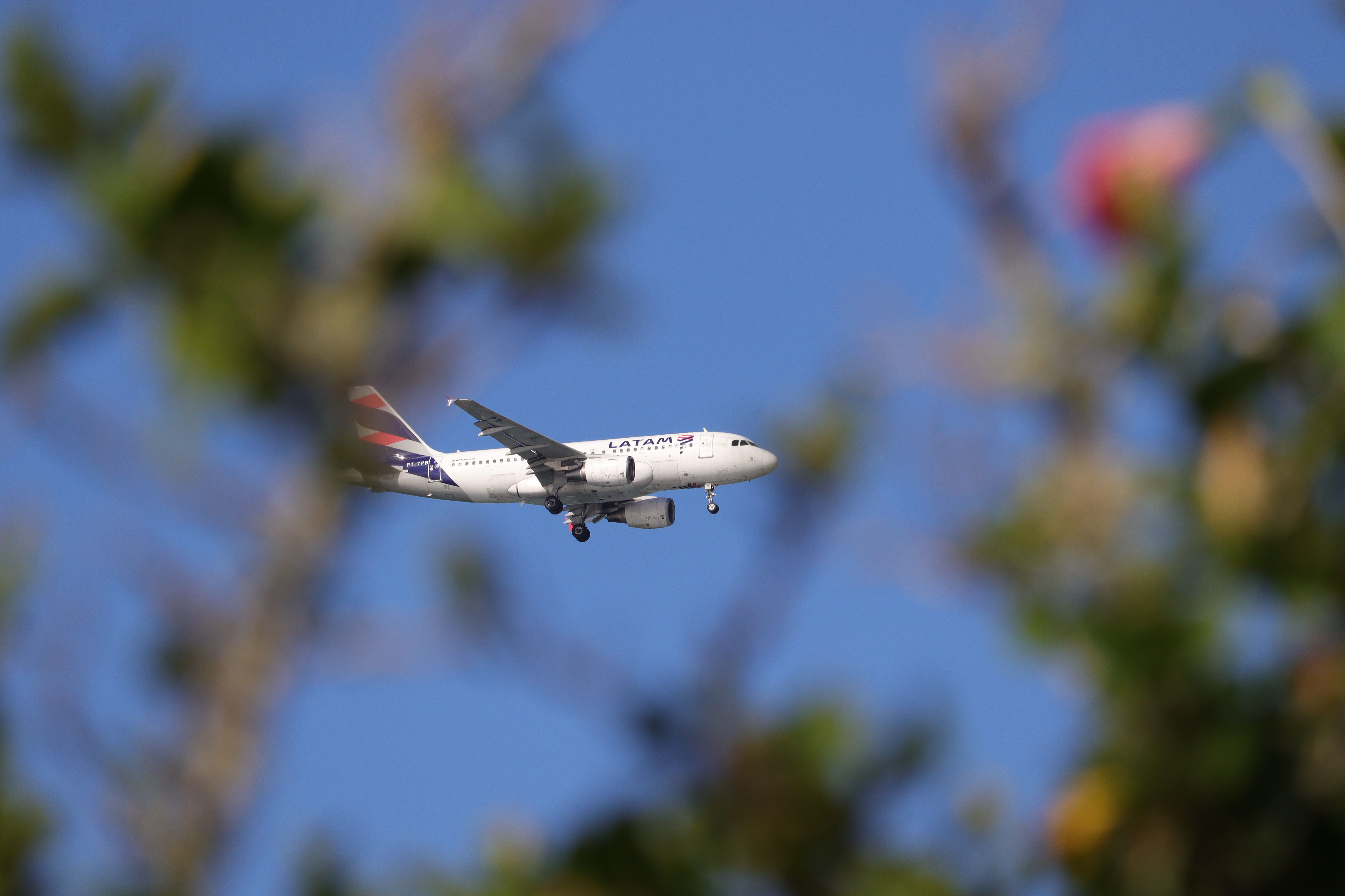 Asian Jet Photos, Download The BEST Free Asian Jet Stock Photos & HD Images