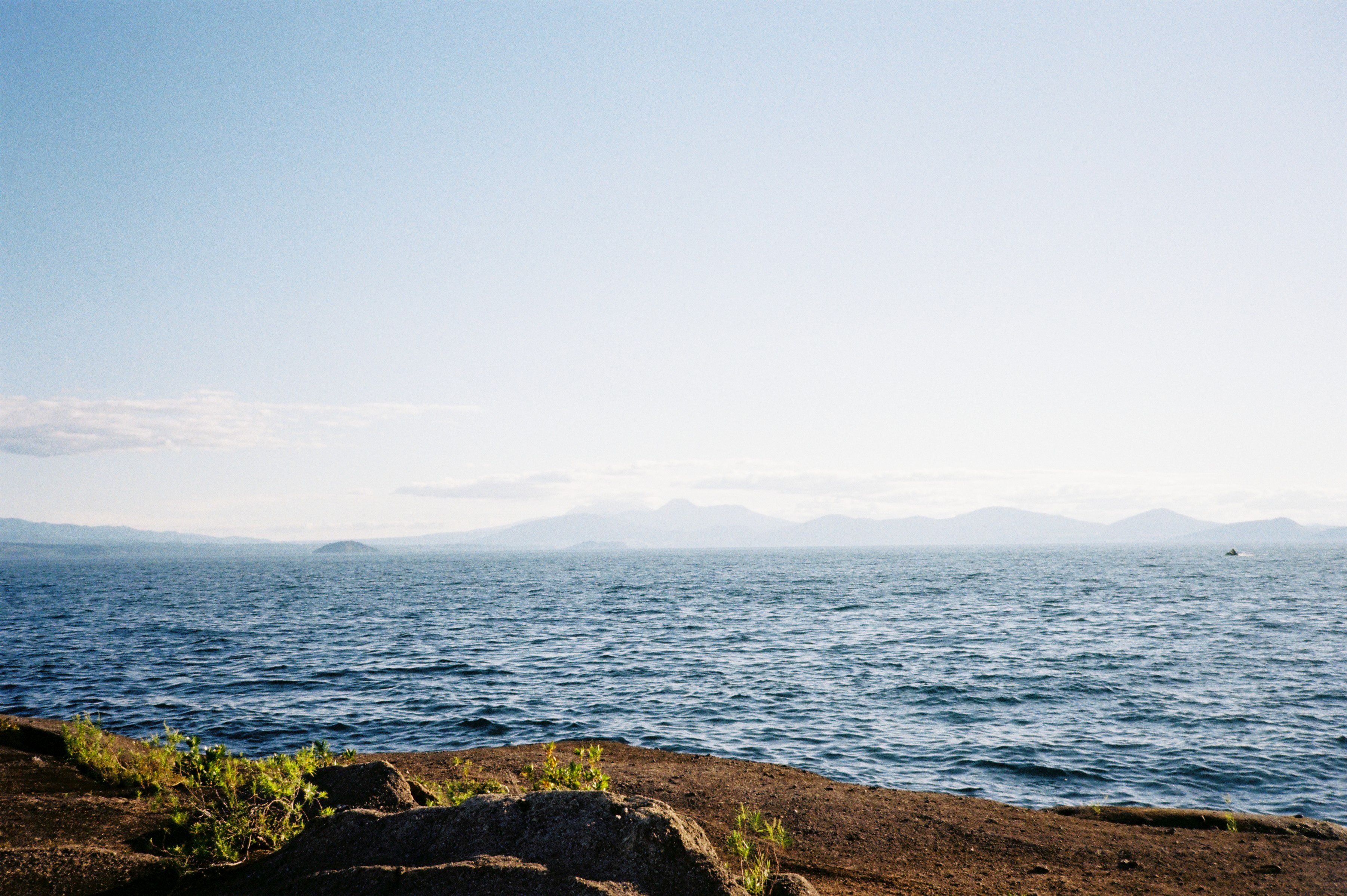 Clear Sky above Calm Lake Shore · Free Stock Photo