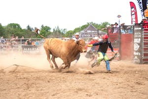 Bull Riding Photos, Download The BEST Free Bull Riding Stock Photos ...