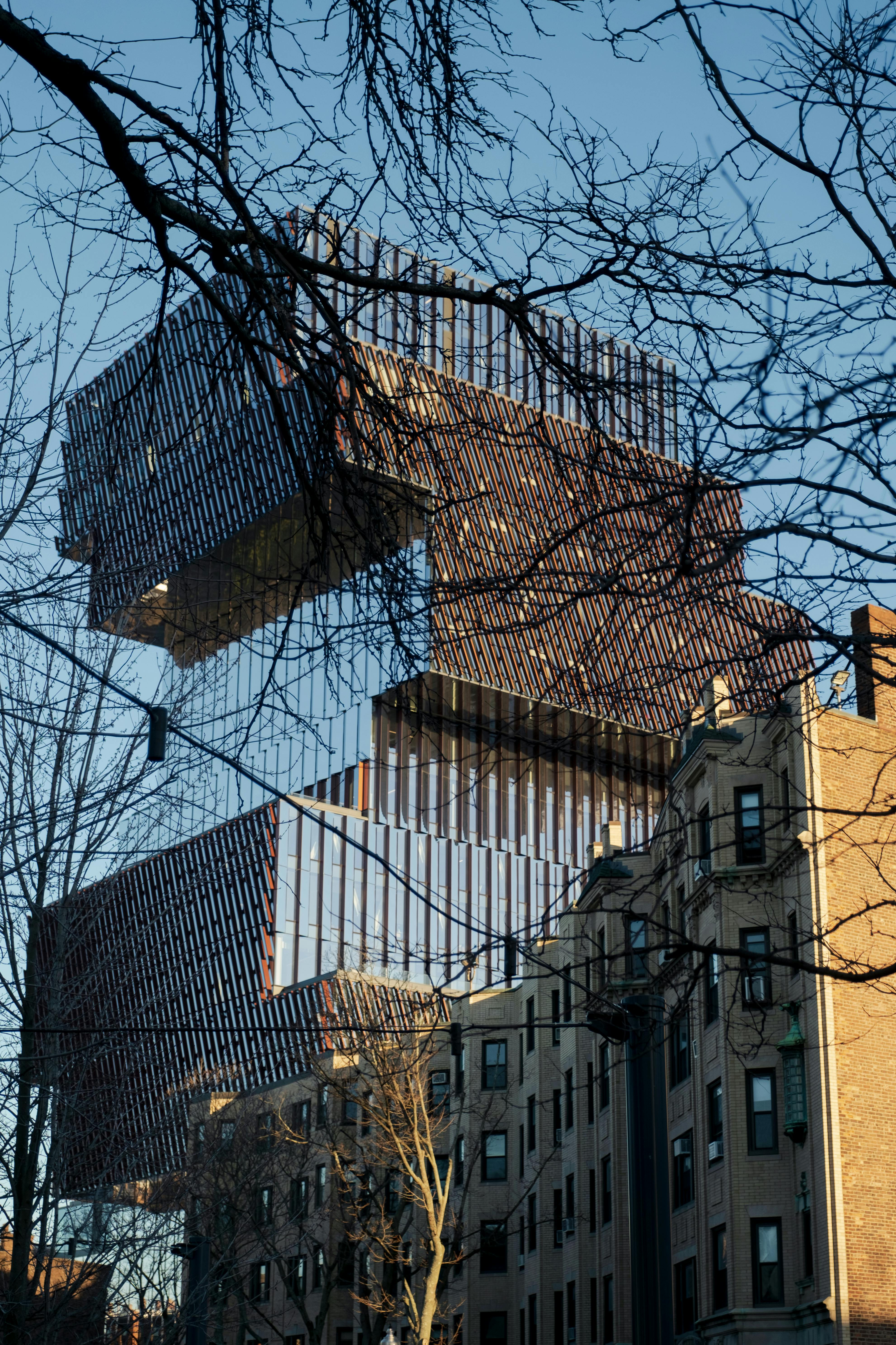 Tree Branches with a Modern Building in the Background · Free Stock Photo