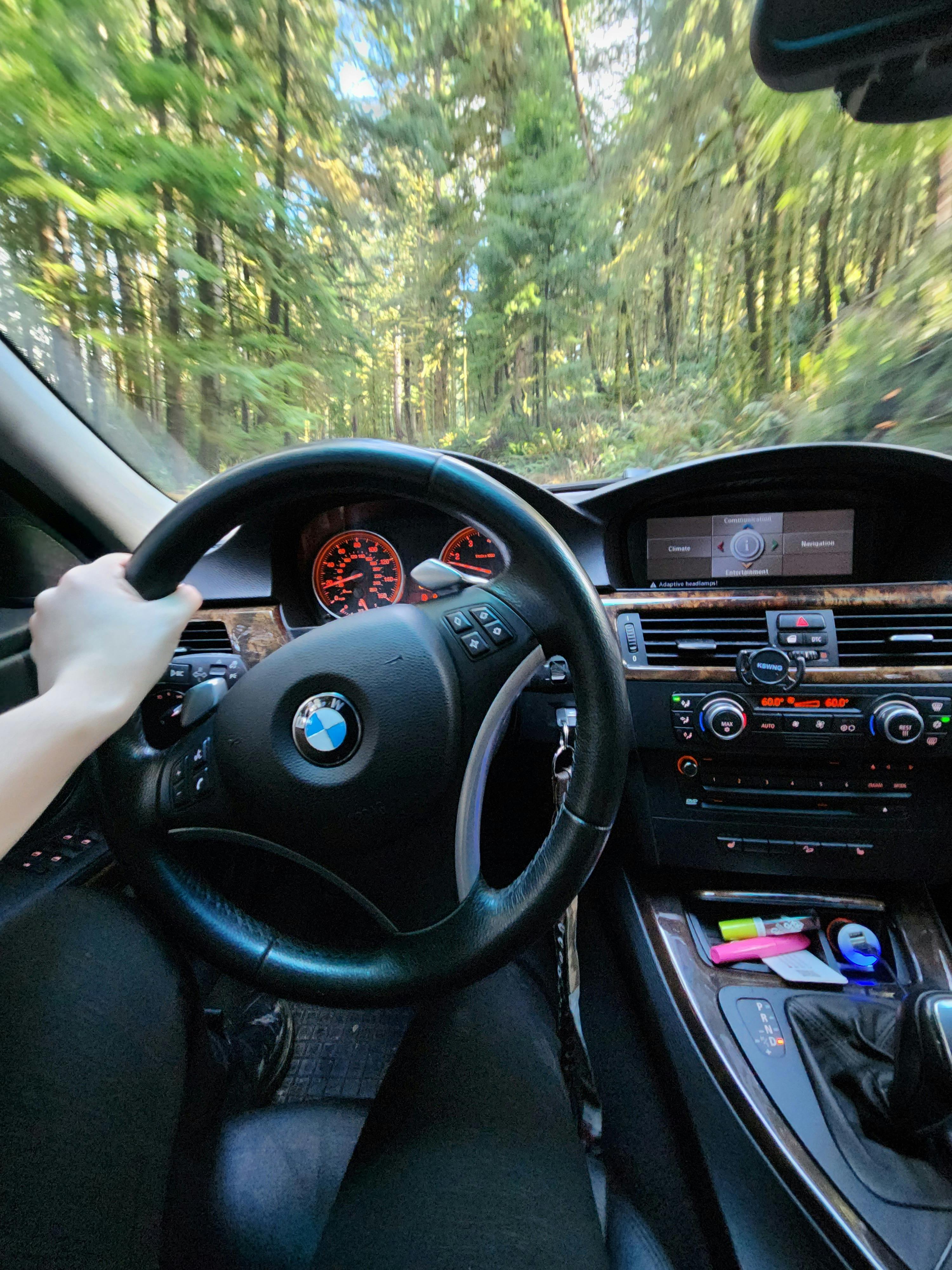 First Person Perspective Picture of a Woman Driving a BMW · Free Stock ...