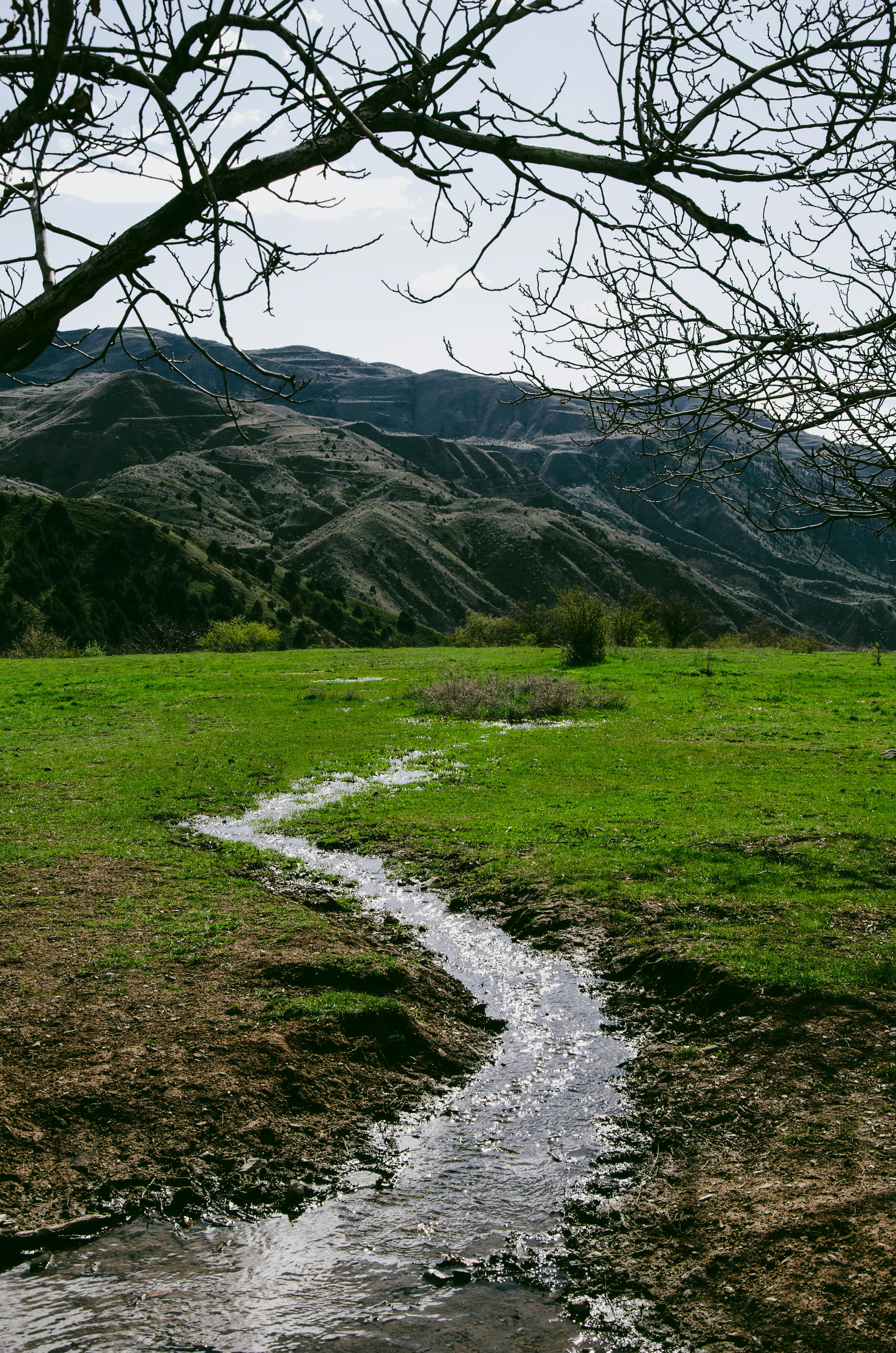 Stream Flowing on Green Meadow from Mountains · Free Stock Photo