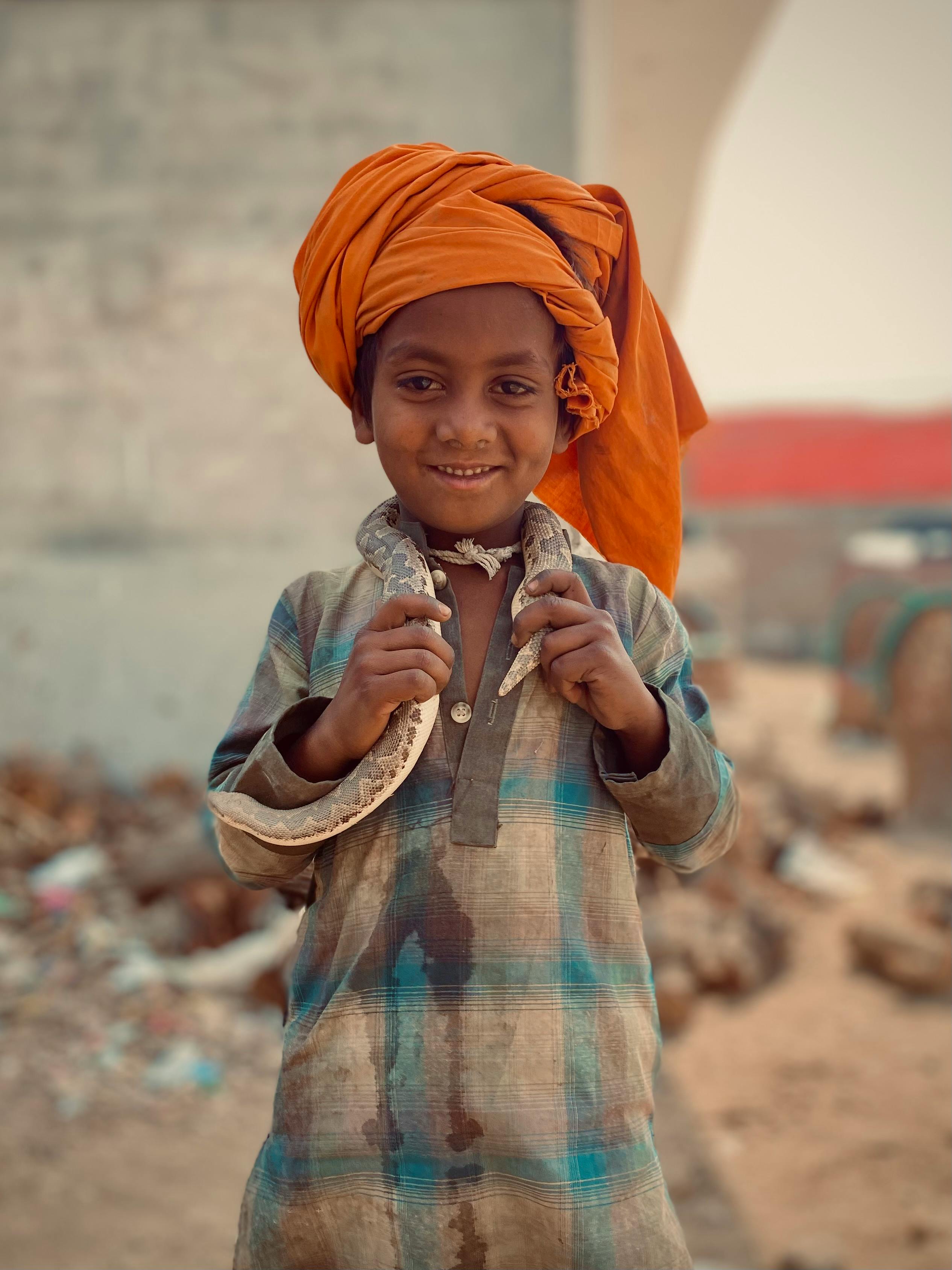 Brown Snake Standing Photos, Download The BEST Free Brown Snake ...