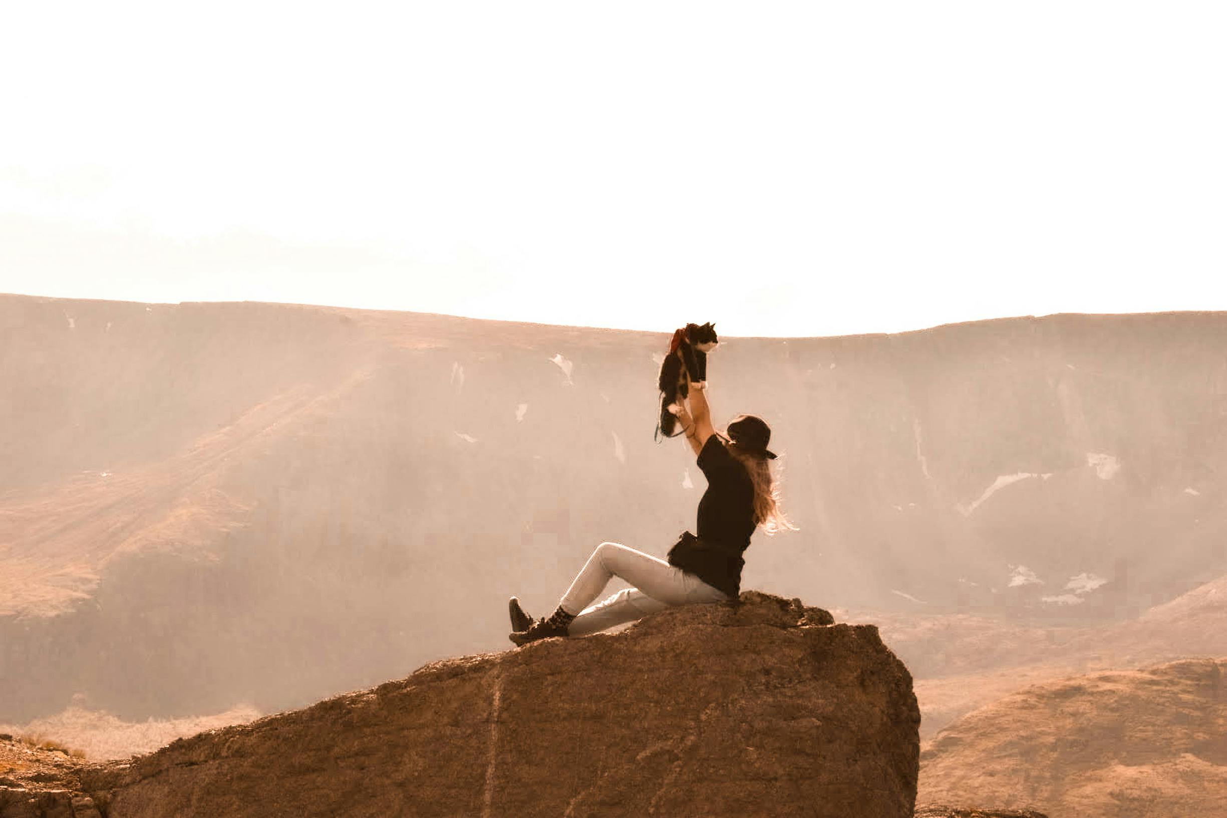 Rising Photos, Download The BEST Free Rising Stock Photos & HD Images