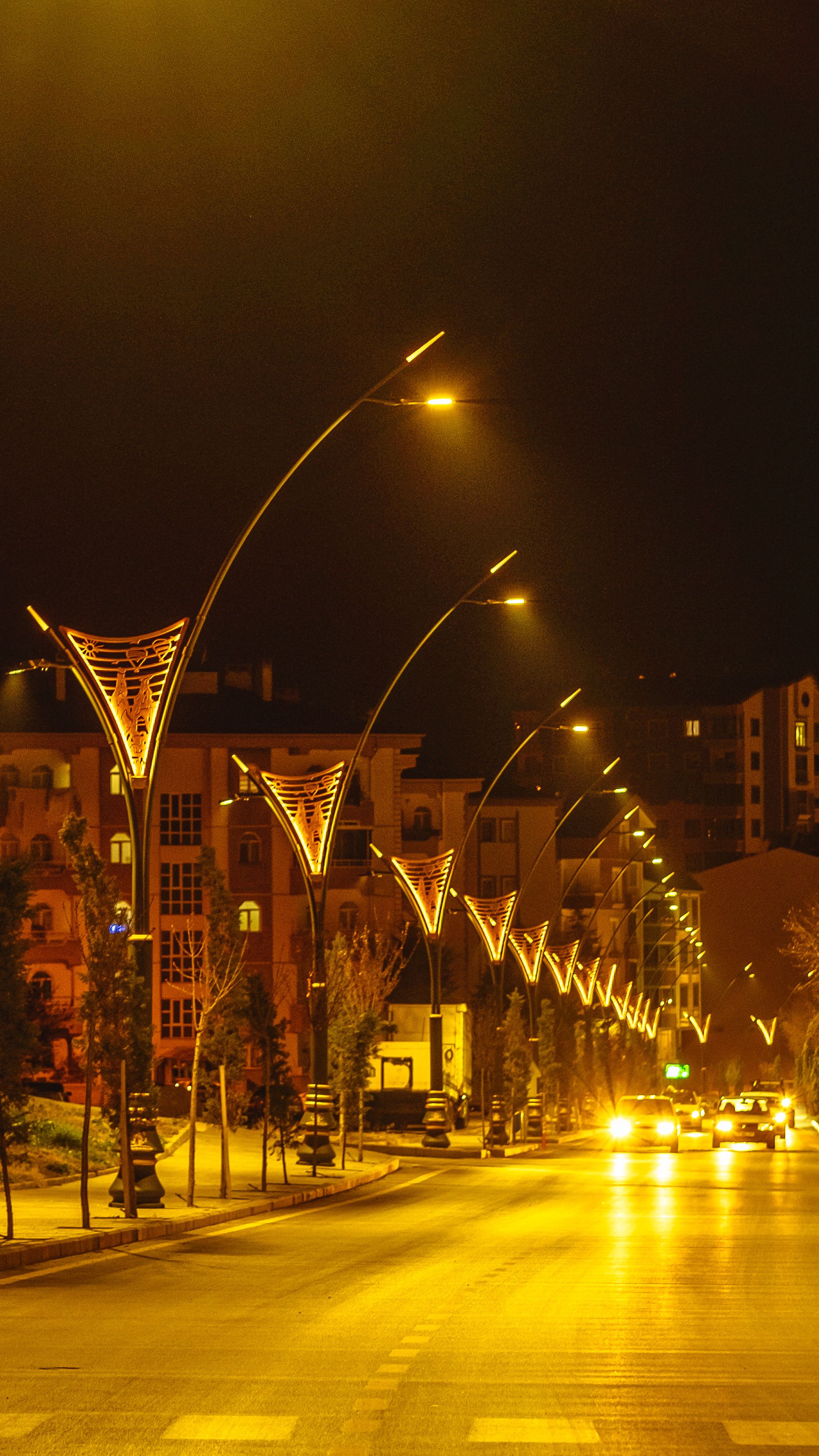 Tree Branches with Autumnal Leaves under a Streetlight in City at Night ...