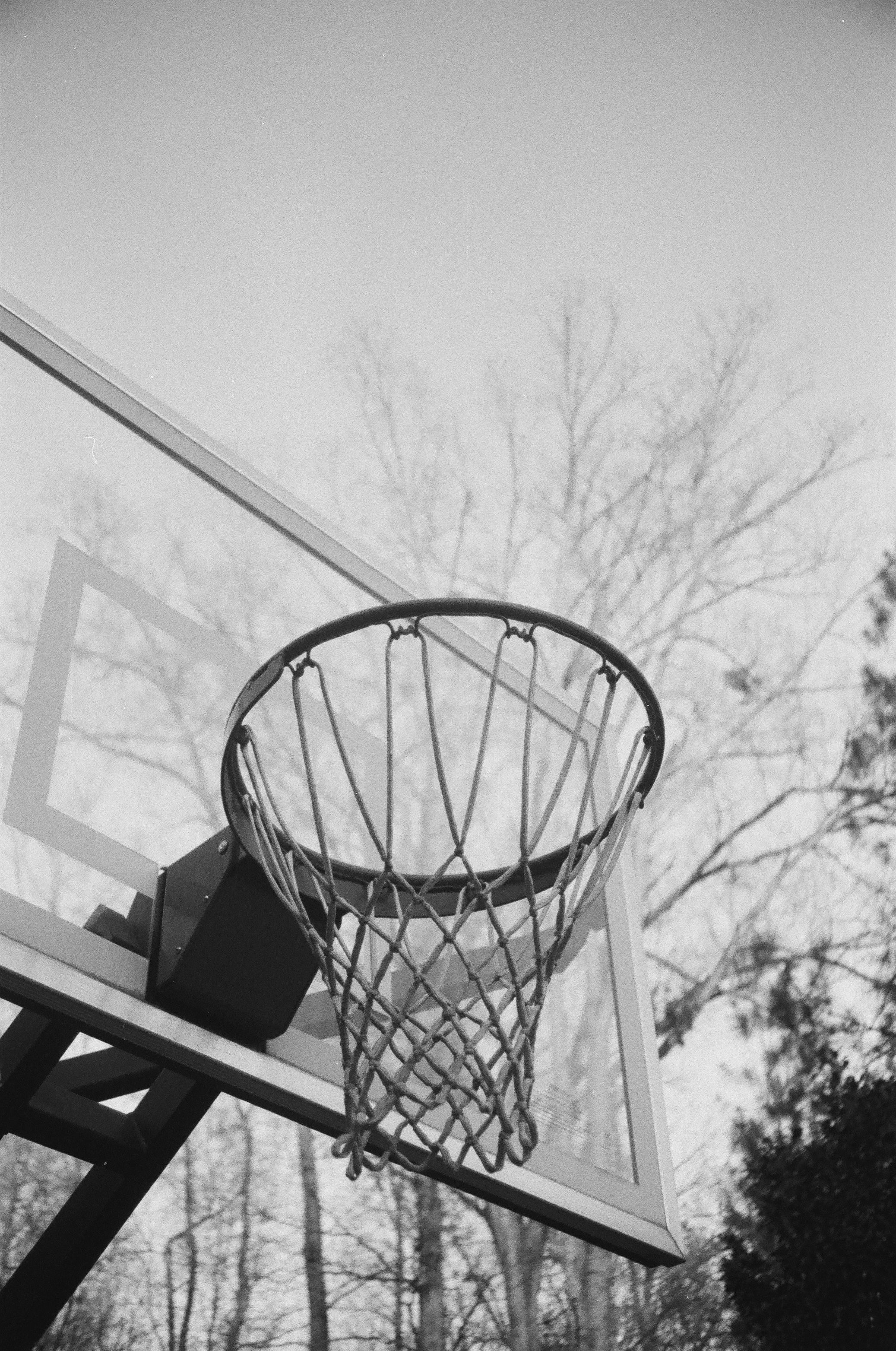 Grayscale Photo of Basketball Hoop · Free Stock Photo