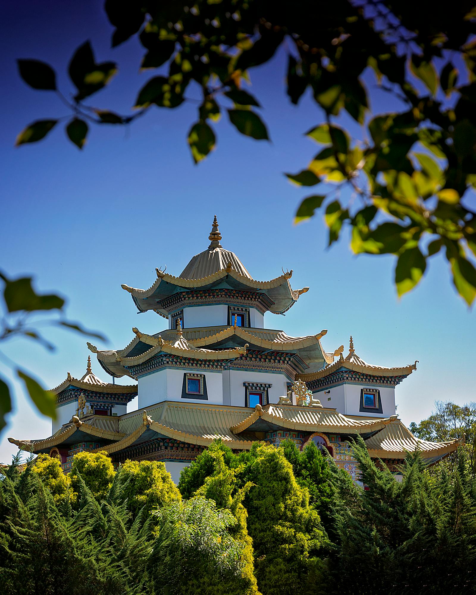 Ling Photos, Download The BEST Free Ling Stock Photos & HD Images