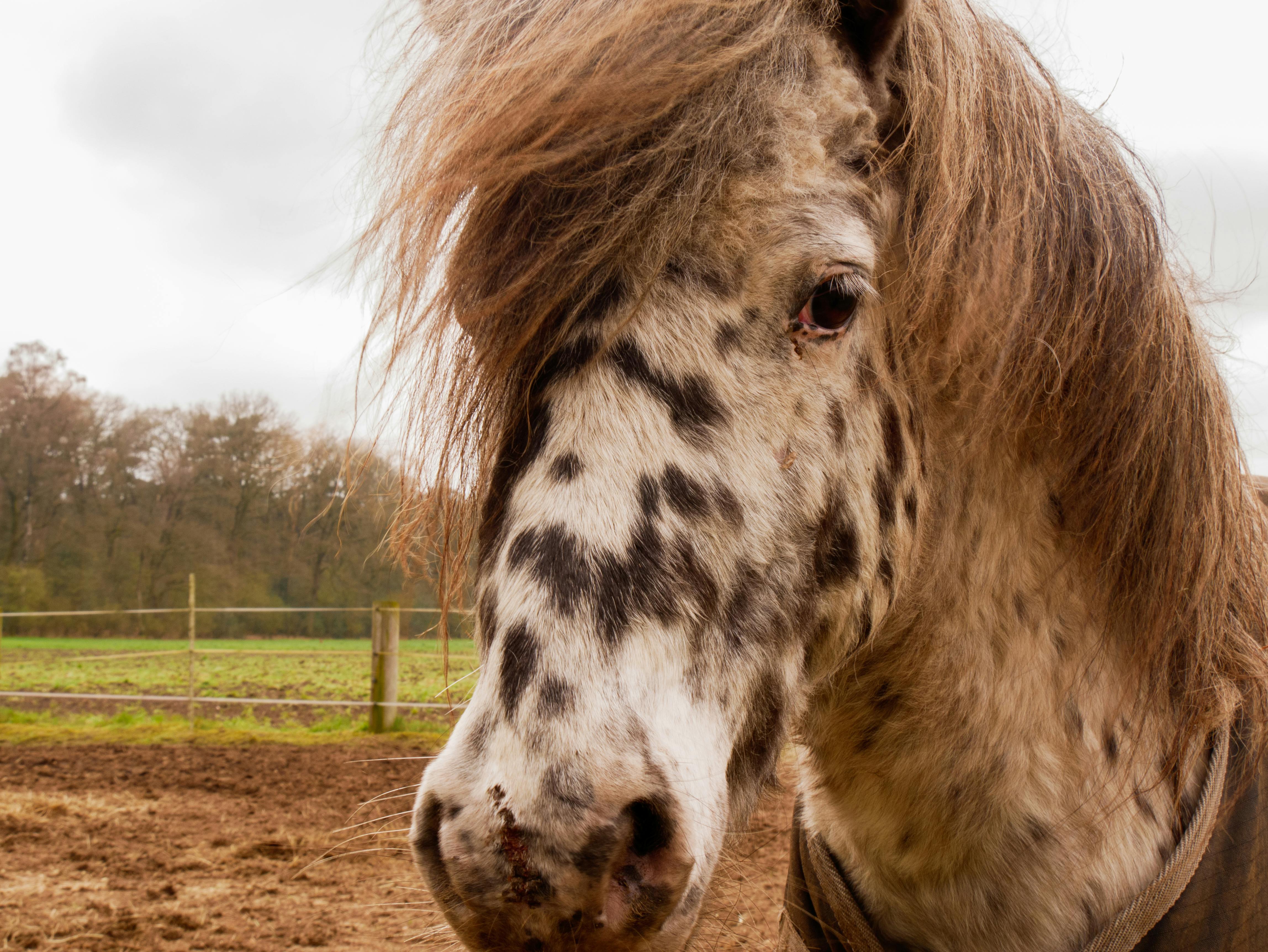 Sabine Stoll - Photography