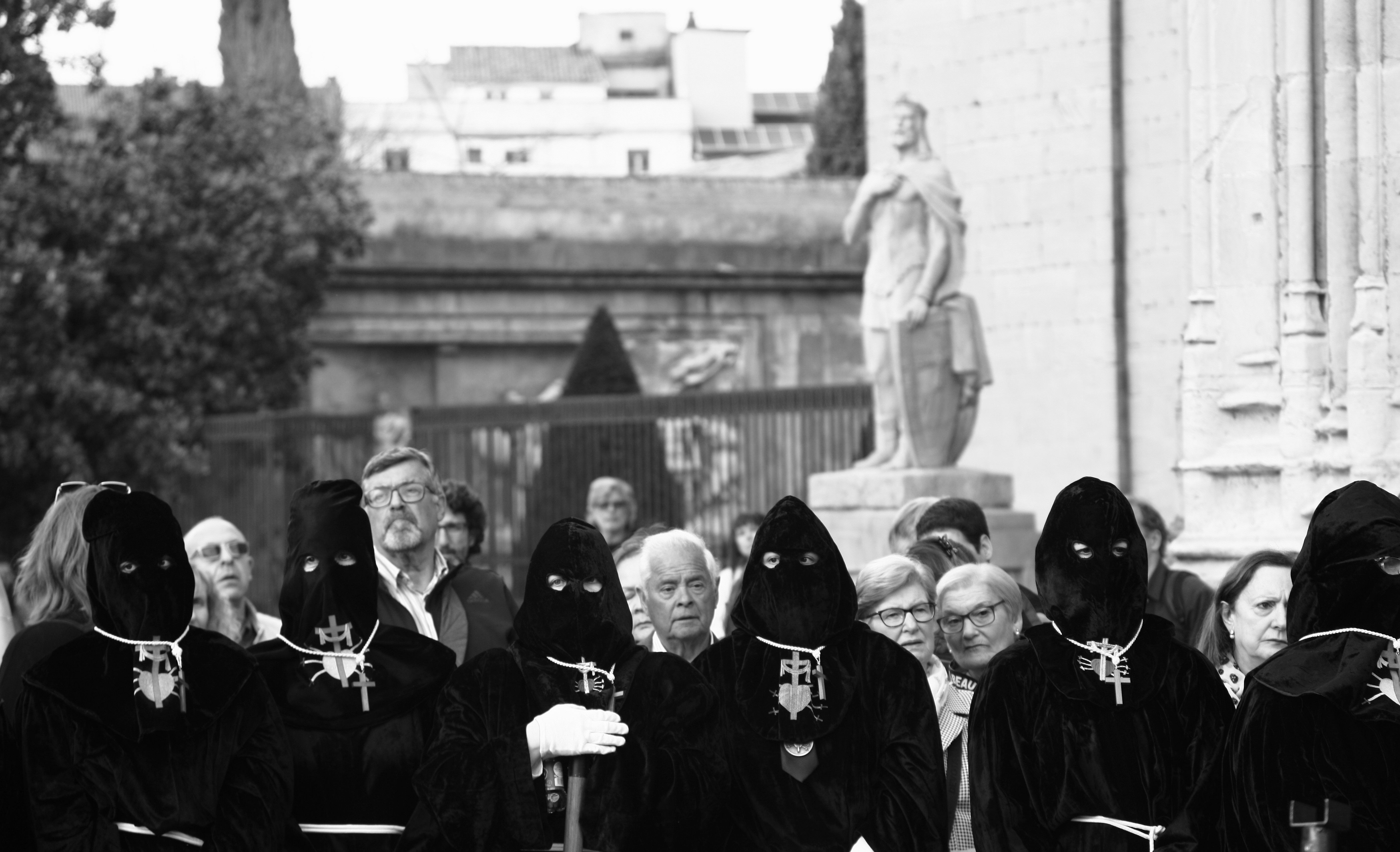 People in Gowns and Hoods on Street During Ceremony · Free Stock Photo