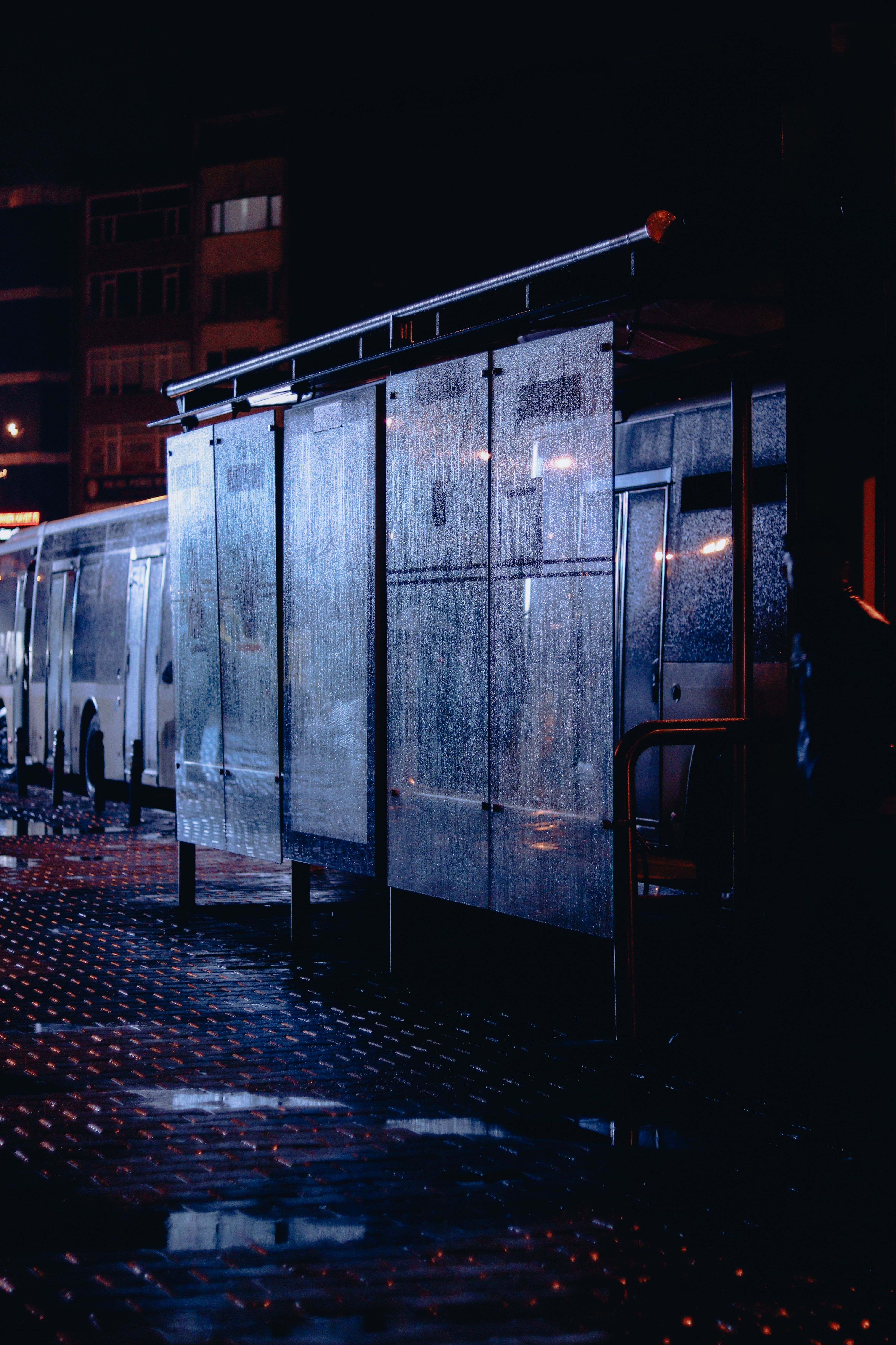 Bus Stop in Rain at Night · Free Stock Photo