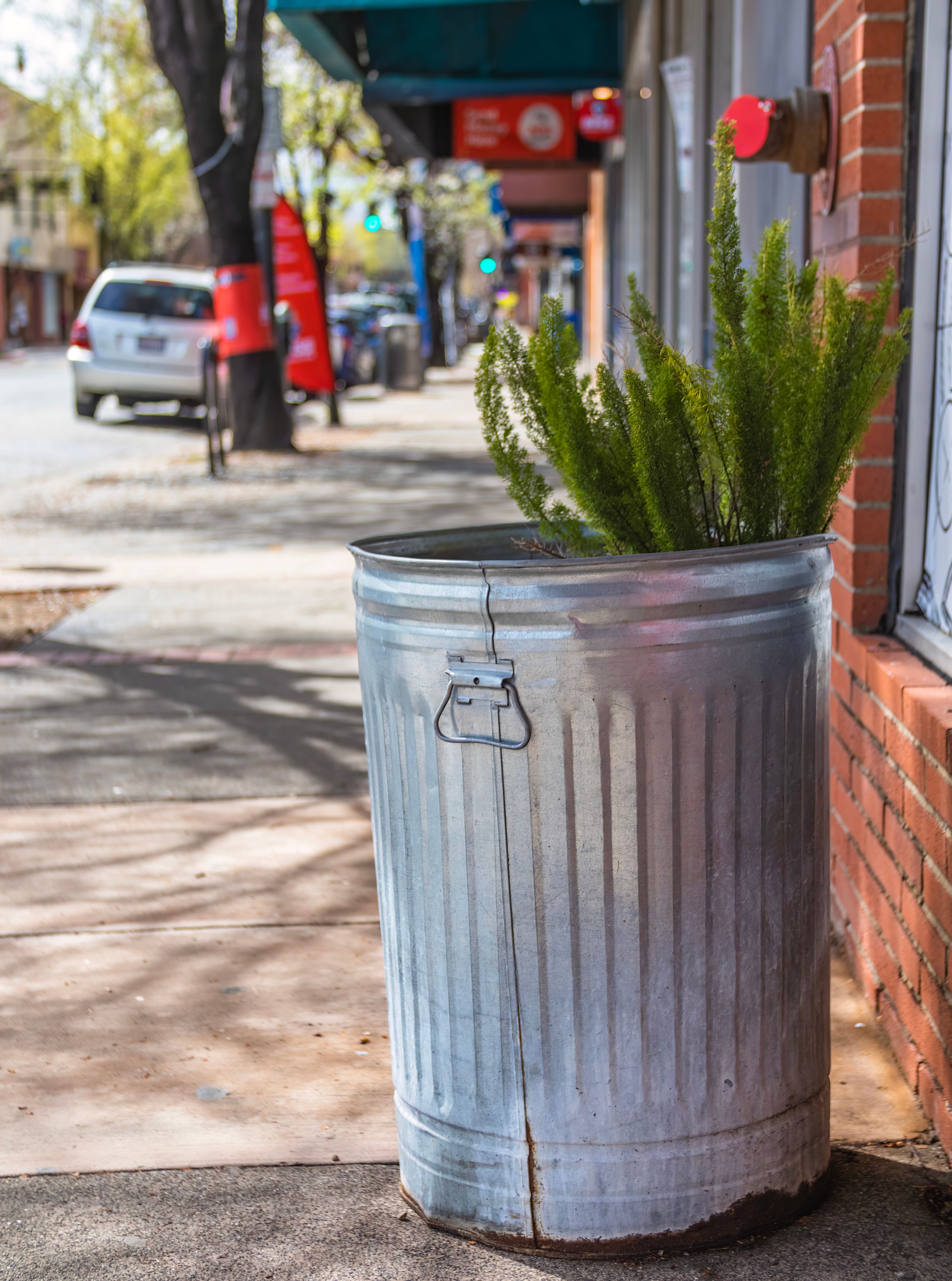 Plant in Trash Bin on Sidewalk · Free Stock Photo